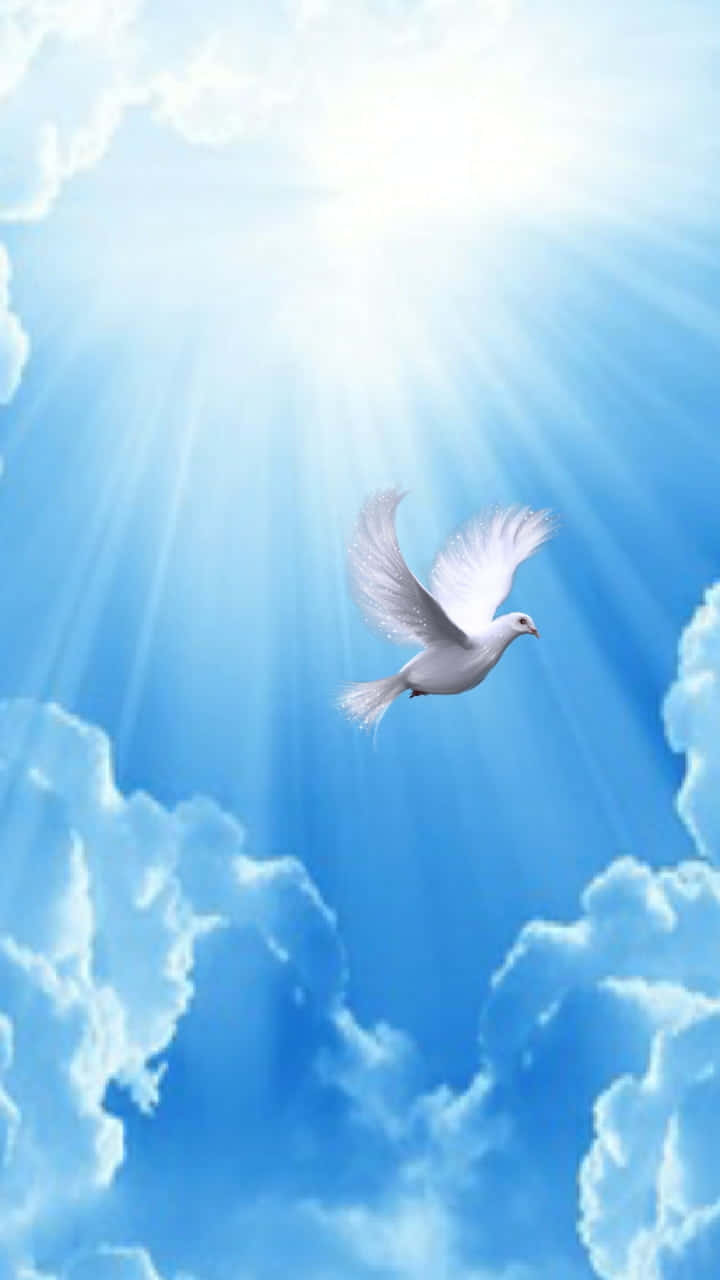 Rest In Peace Wallpapers - Top Free Rest In Peace Backgrounds ...