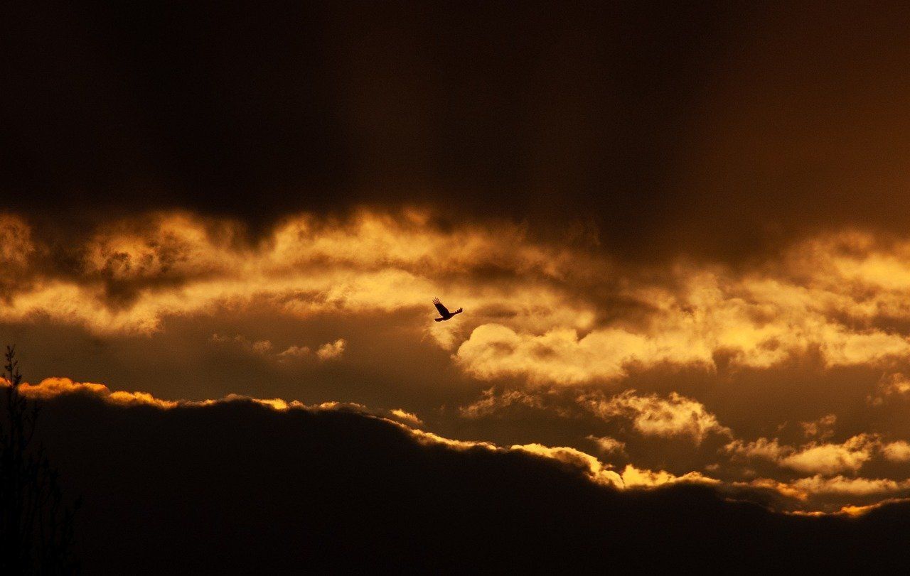 Heaven Light Wallpapers - Top Free Heaven Light Backgrounds ...