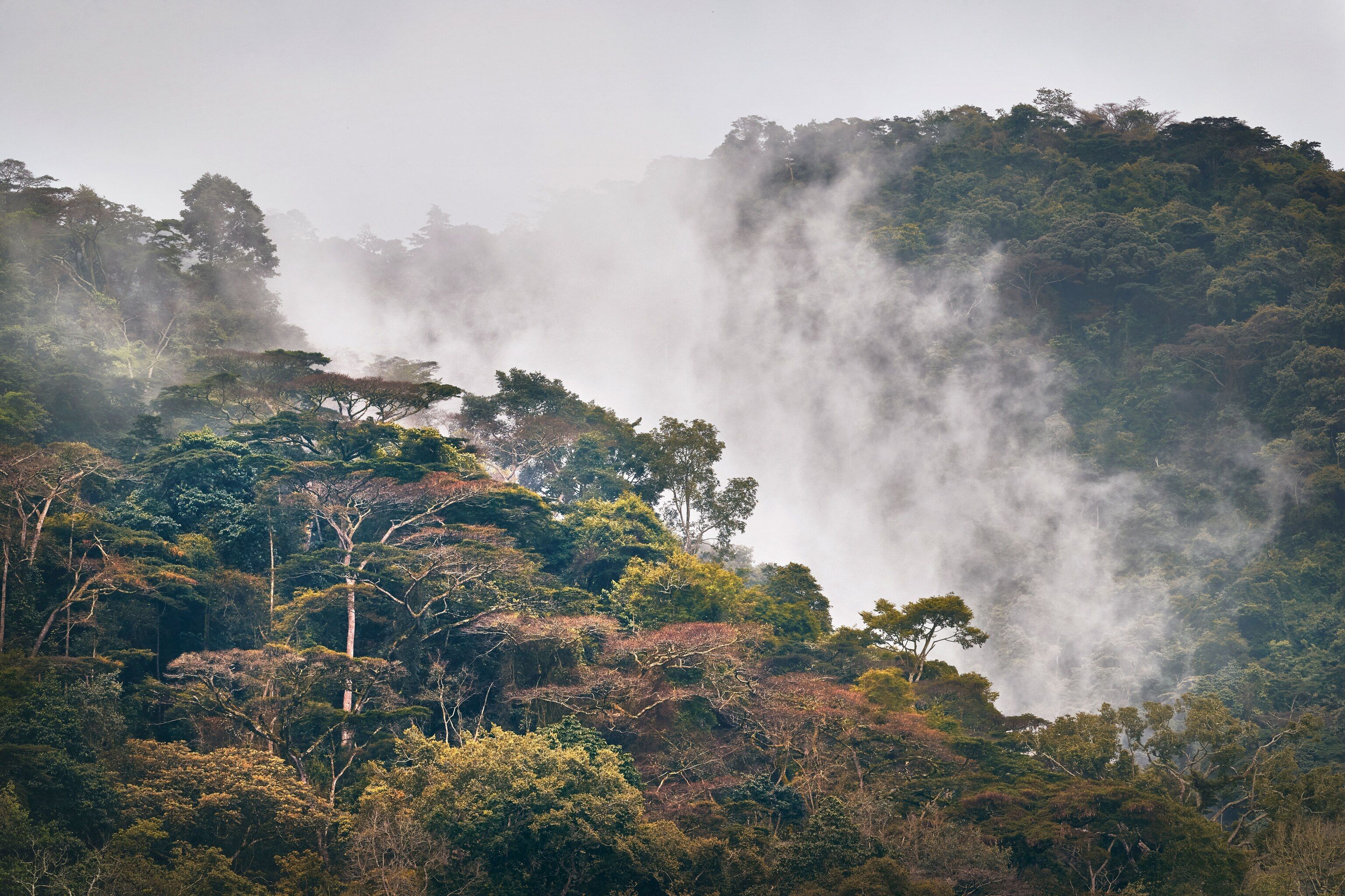 Uganda Wallpapers - Top Free Uganda Backgrounds - WallpaperAccess