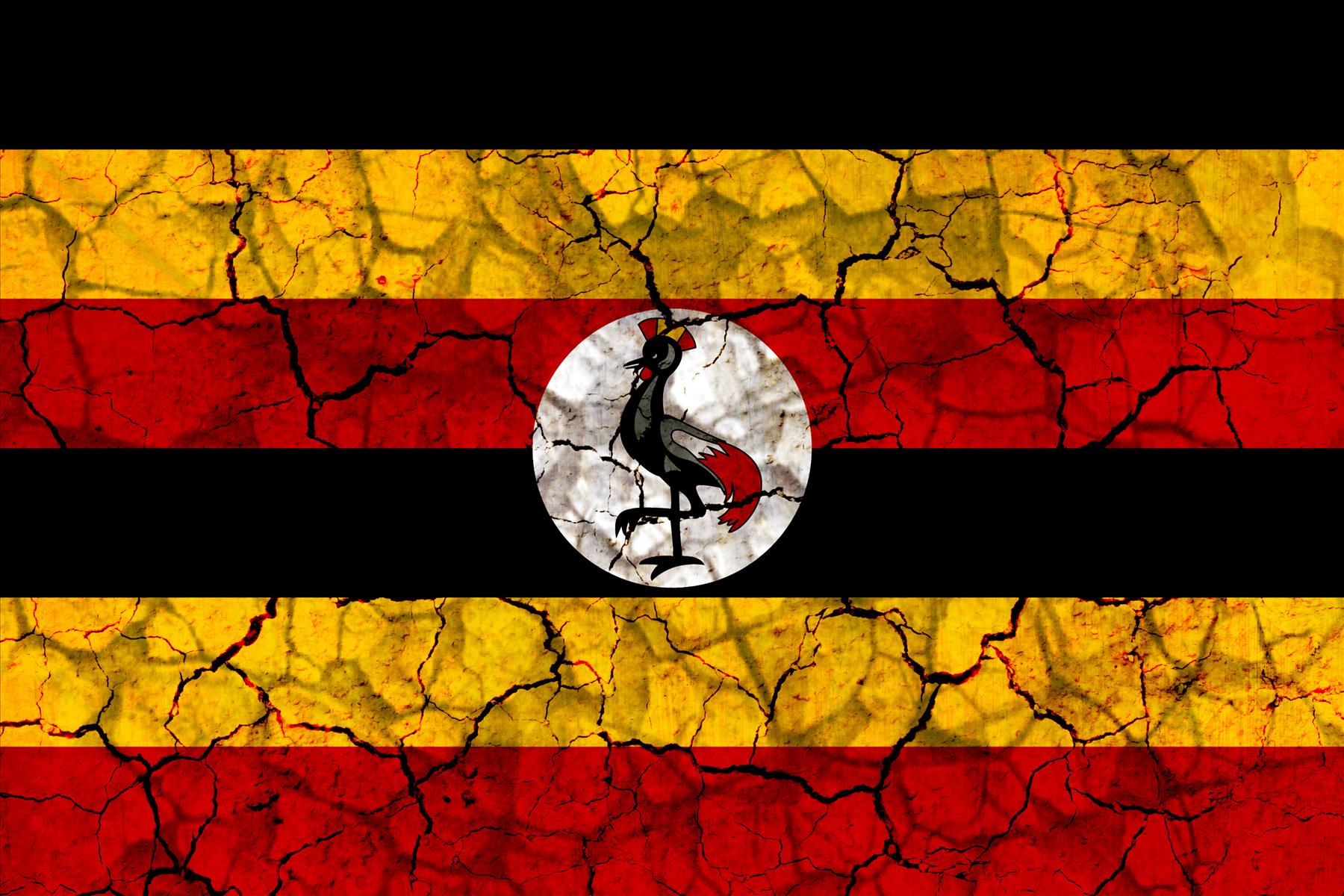 Uganda Wallpapers - Top Free Uganda Backgrounds - WallpaperAccess