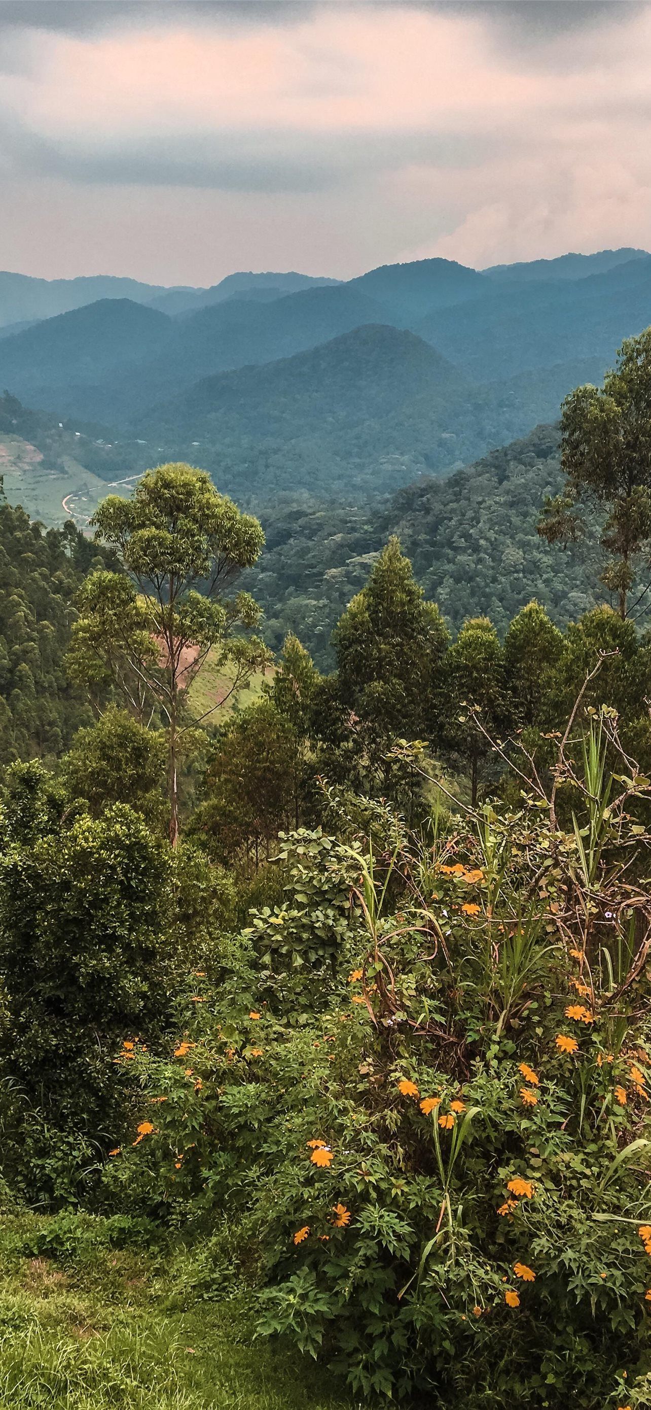 Uganda Wallpapers - Top Free Uganda Backgrounds - WallpaperAccess