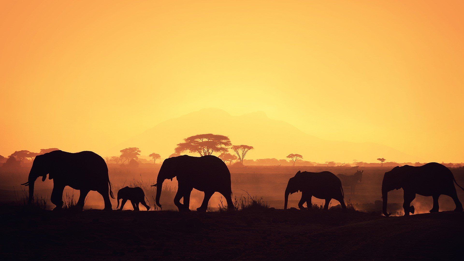 Uganda Wallpapers - Top Free Uganda Backgrounds - WallpaperAccess