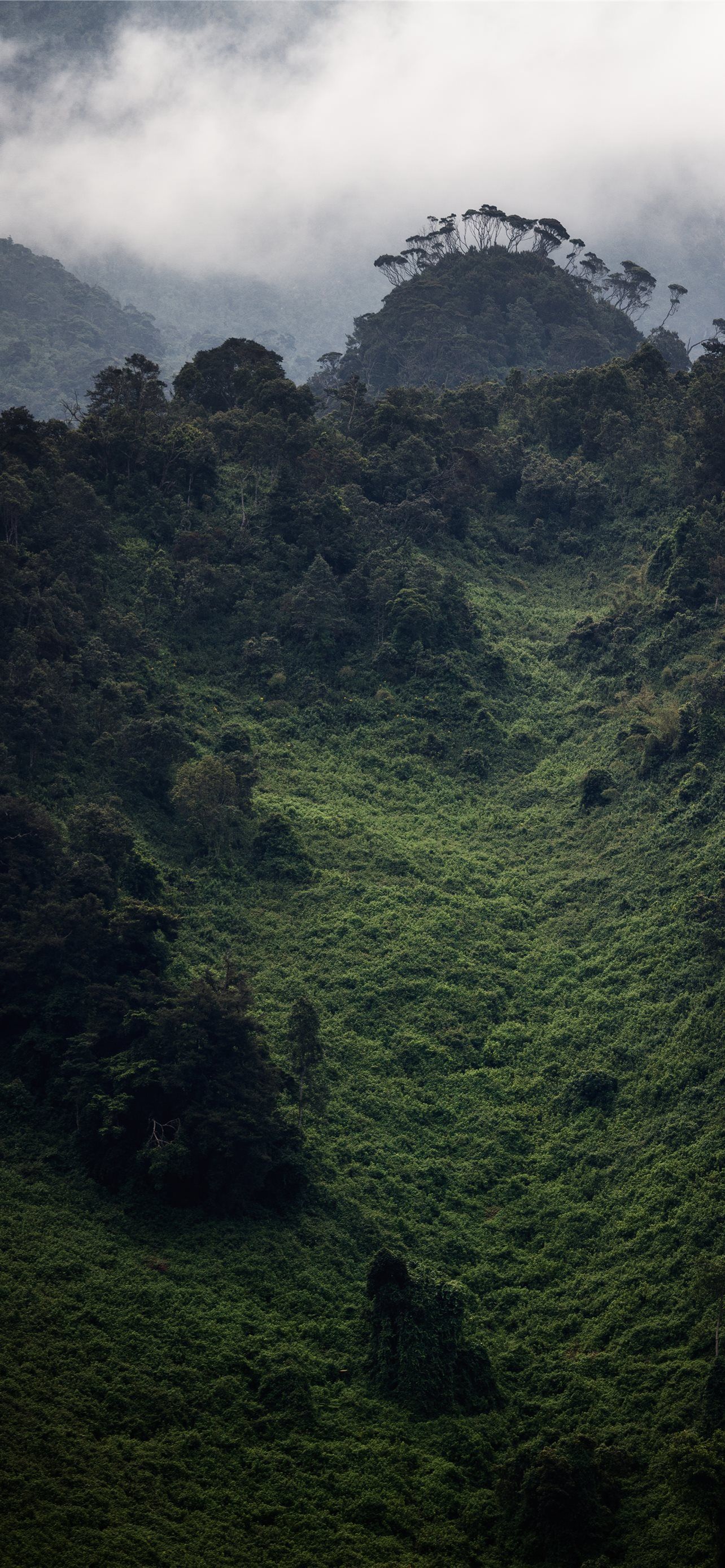 Uganda Wallpapers - Top Free Uganda Backgrounds - WallpaperAccess