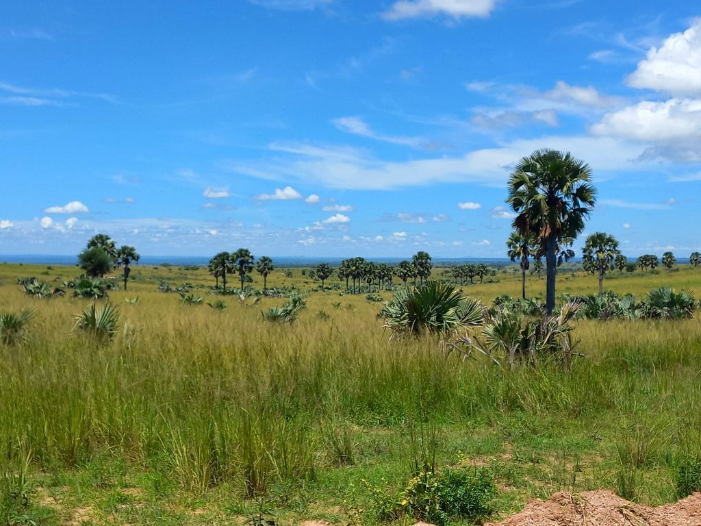 Uganda Wallpapers - Top Free Uganda Backgrounds - WallpaperAccess