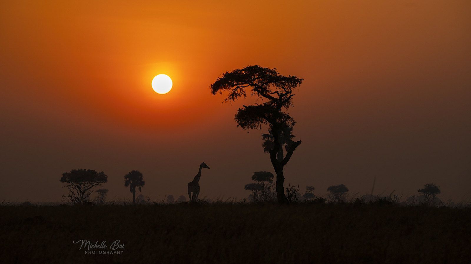 Uganda Wallpapers - Top Free Uganda Backgrounds - WallpaperAccess