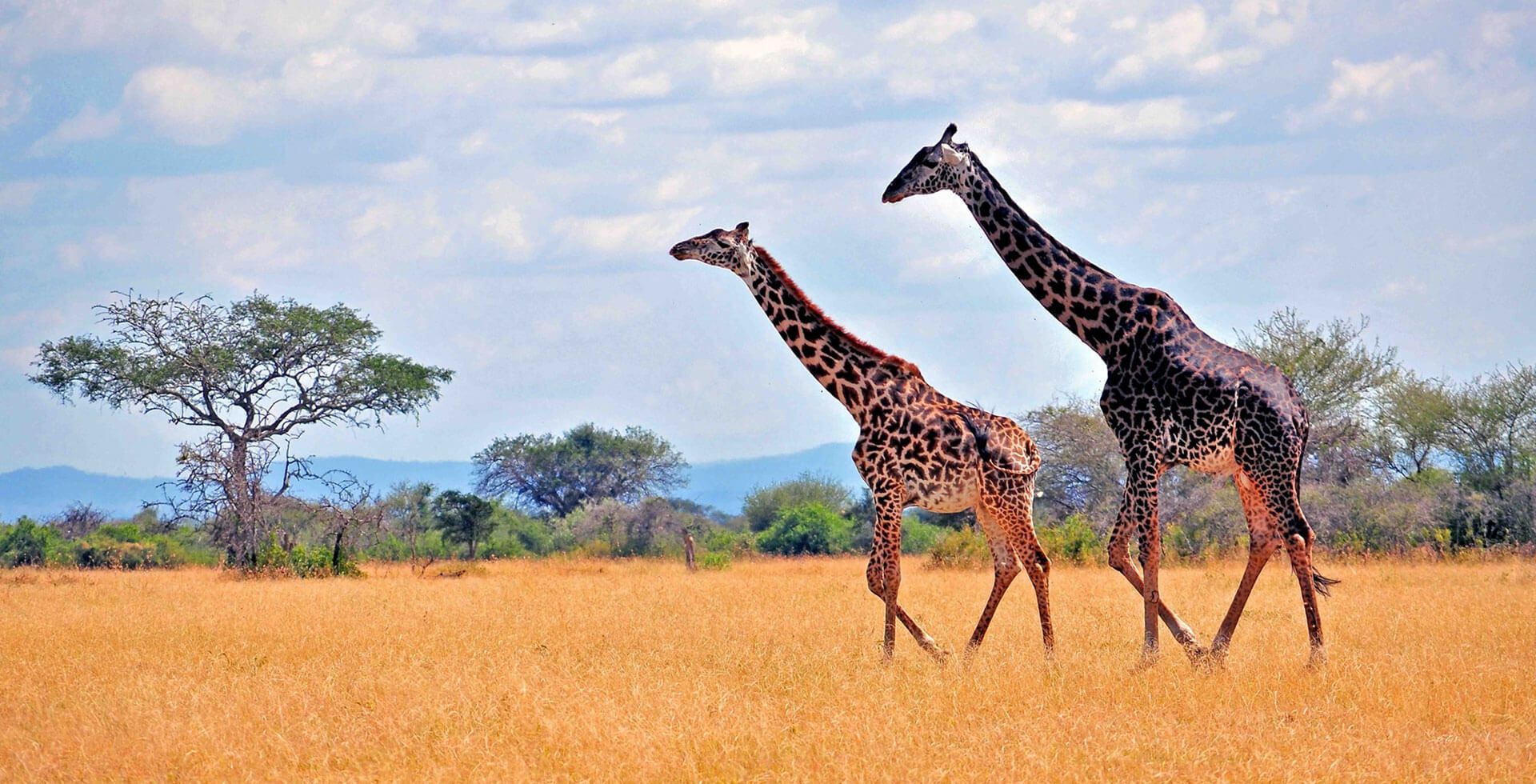 Uganda Wallpapers - Top Free Uganda Backgrounds - WallpaperAccess