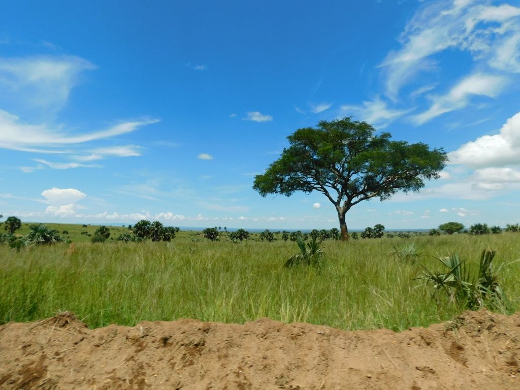 Uganda Wallpapers - Top Free Uganda Backgrounds - WallpaperAccess
