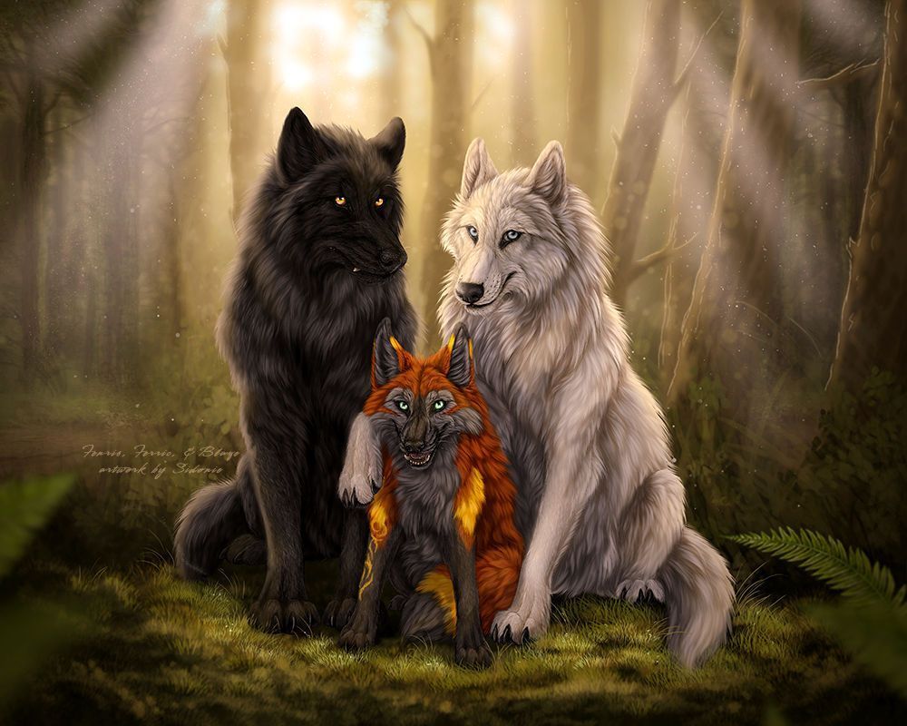 Wolf Family Wallpapers - Top Free Wolf Family Backgrounds - WallpaperAccess
