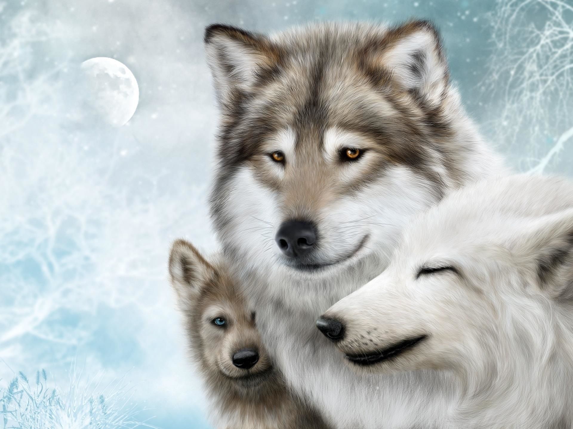 Wolf Family Wallpapers - Top Free Wolf Family Backgrounds - WallpaperAccess
