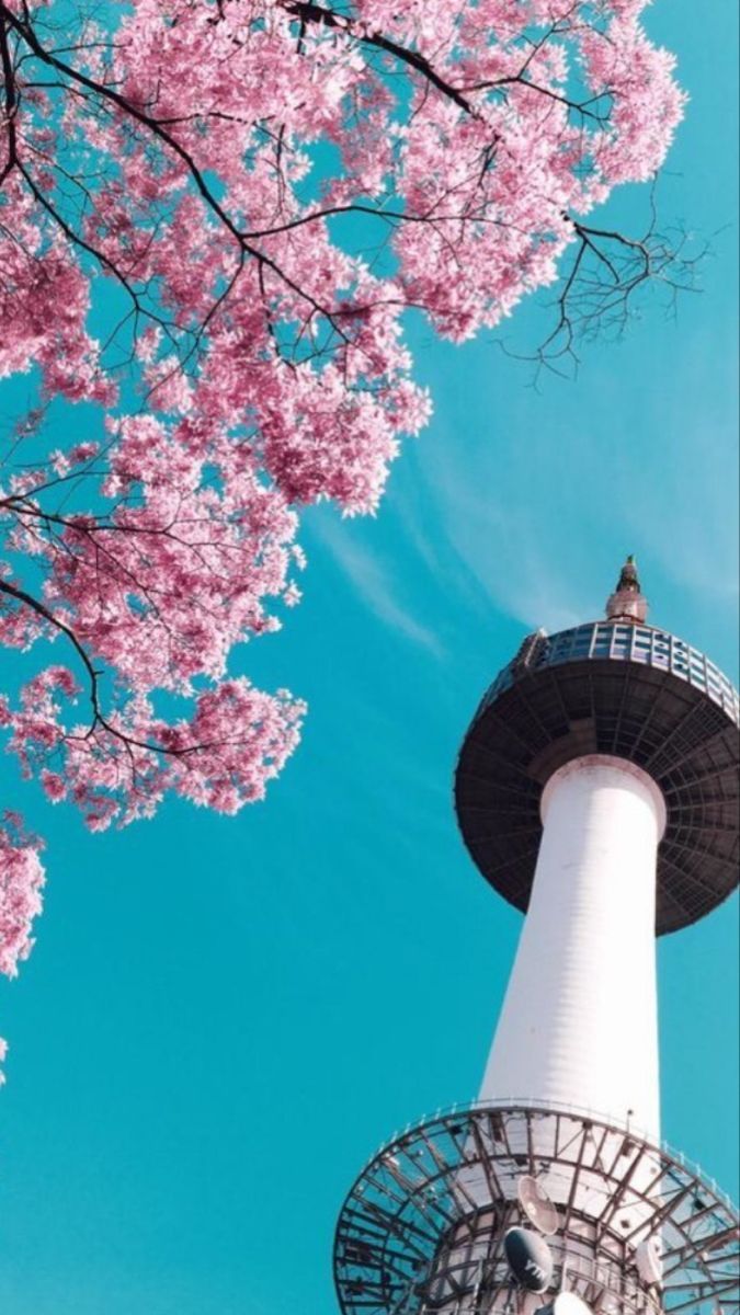 Seoul Spring Wallpapers - Top Free Seoul Spring Backgrounds ...