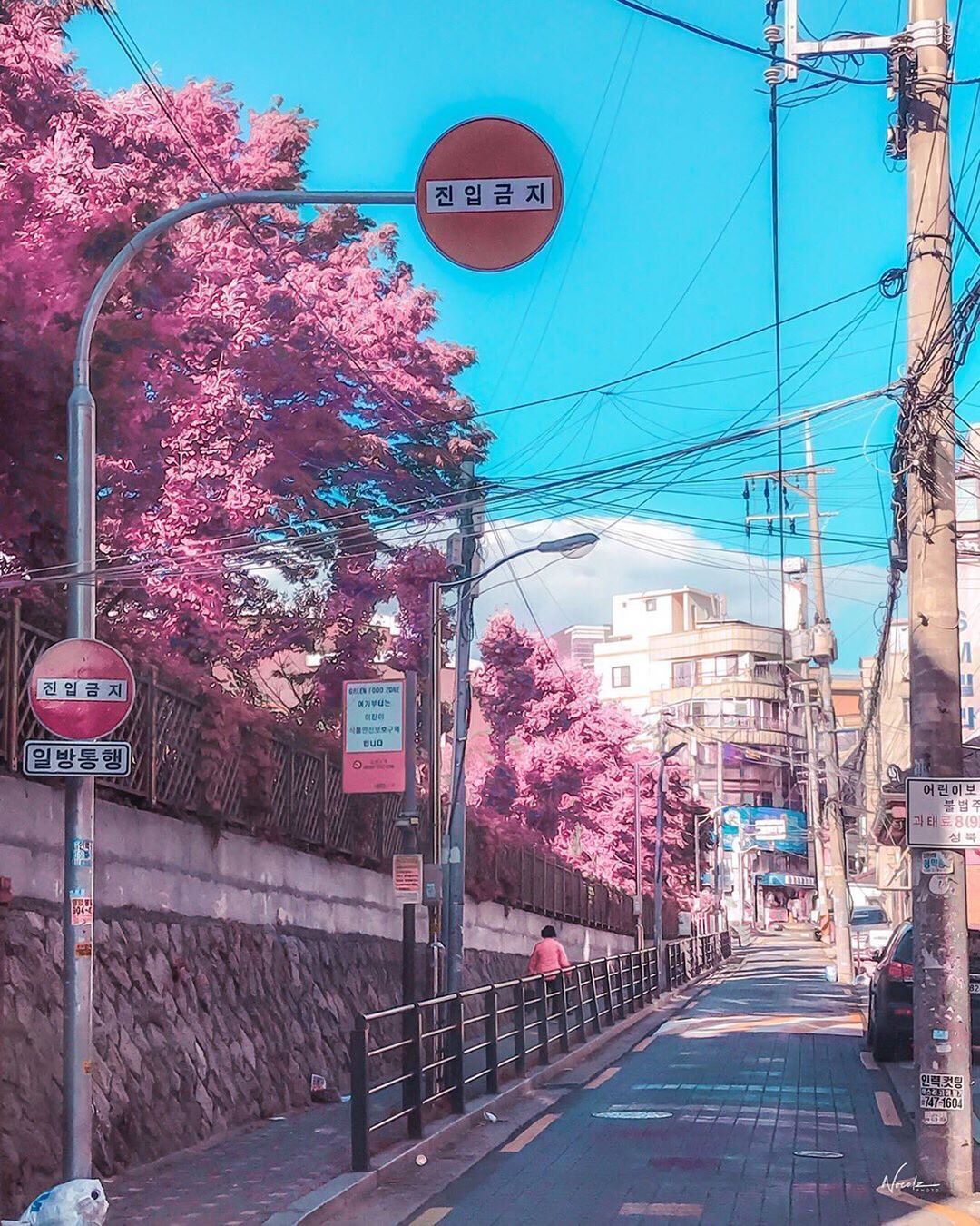 Seoul Spring Wallpapers - Top Free Seoul Spring Backgrounds ...