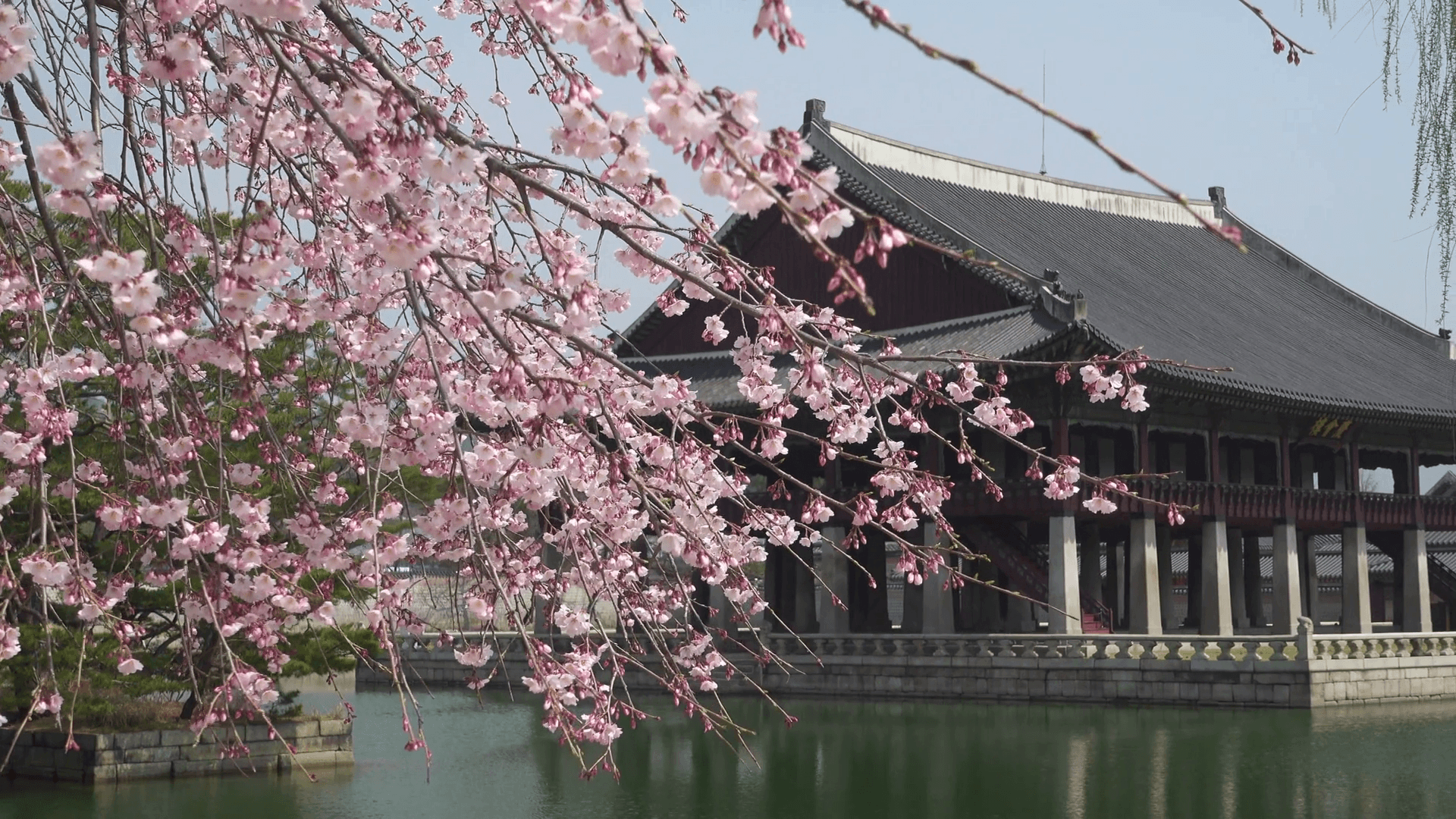Seoul Spring Wallpapers - Top Free Seoul Spring Backgrounds ...