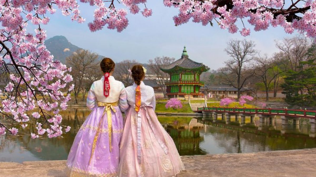 Seoul Spring Wallpapers - Top Free Seoul Spring Backgrounds ...