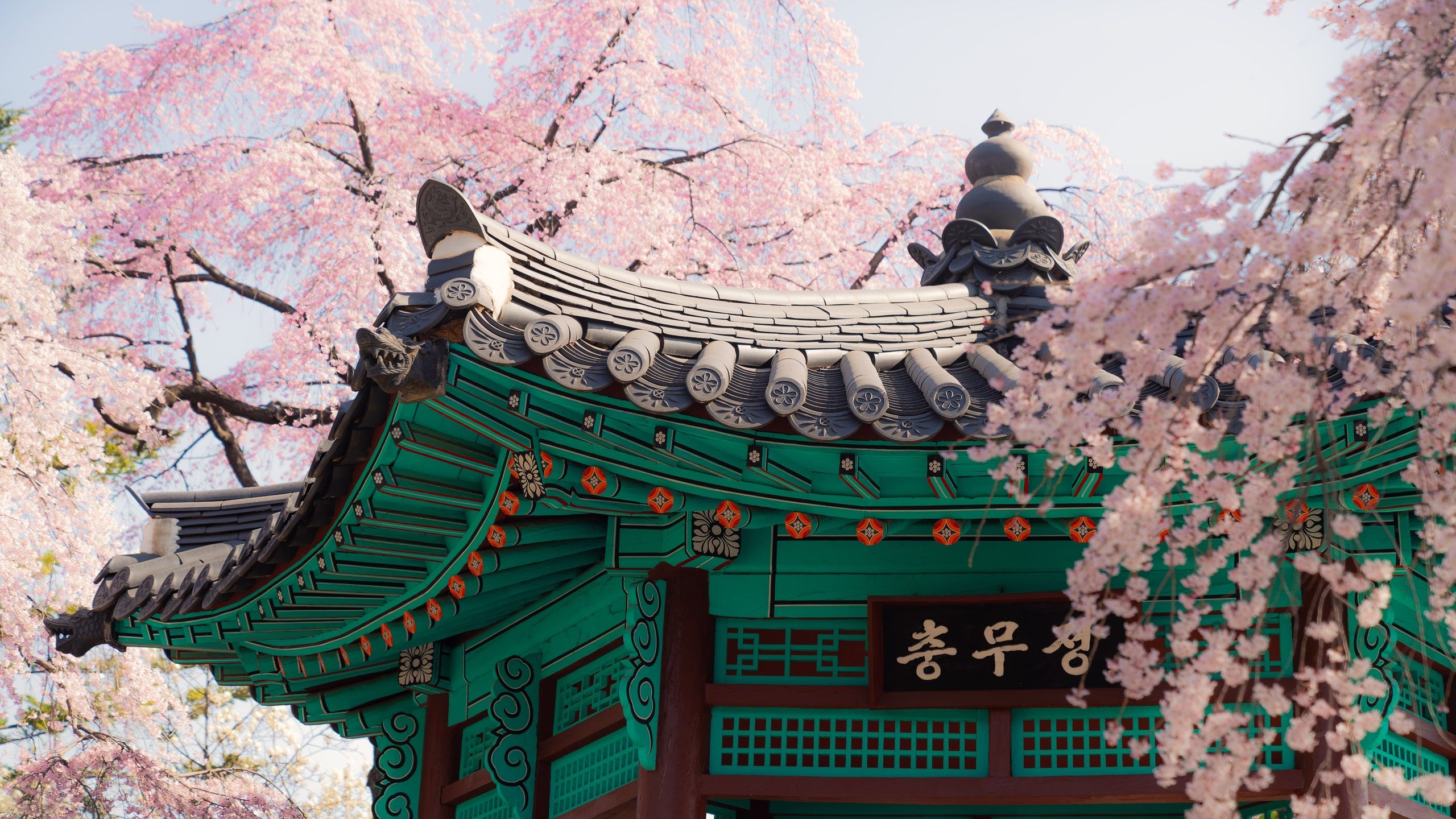 Seoul Spring Wallpapers - Top Free Seoul Spring Backgrounds ...