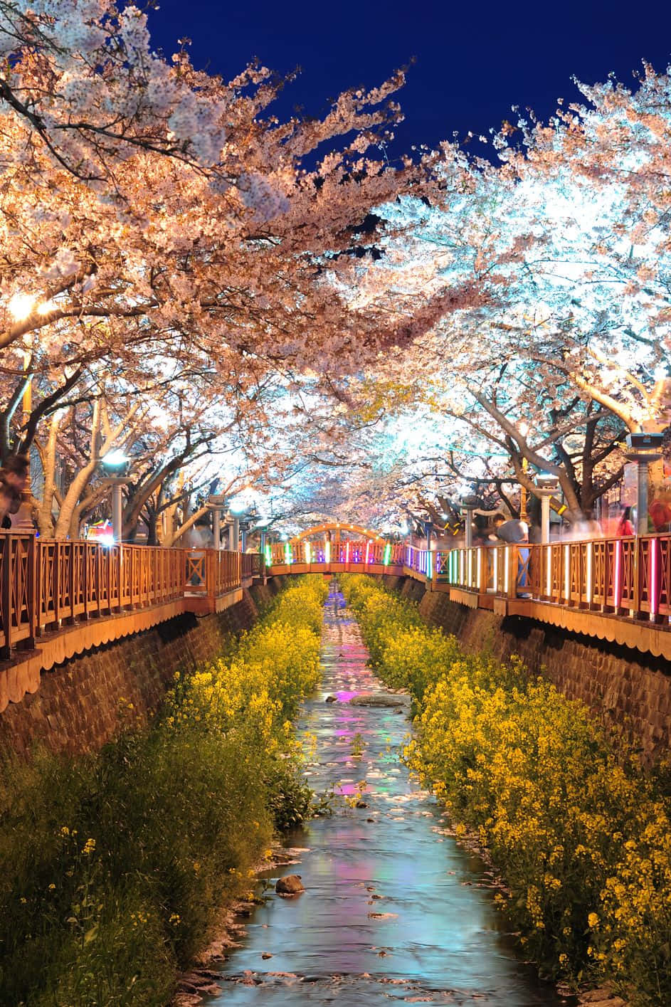 Seoul Spring Wallpapers - Top Free Seoul Spring Backgrounds ...