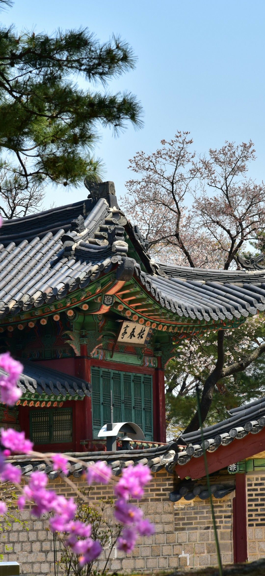 Seoul Spring Wallpapers - Top Free Seoul Spring Backgrounds ...