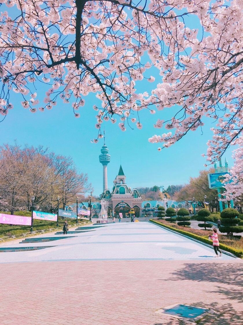 Seoul Spring Wallpapers - Top Free Seoul Spring Backgrounds ...