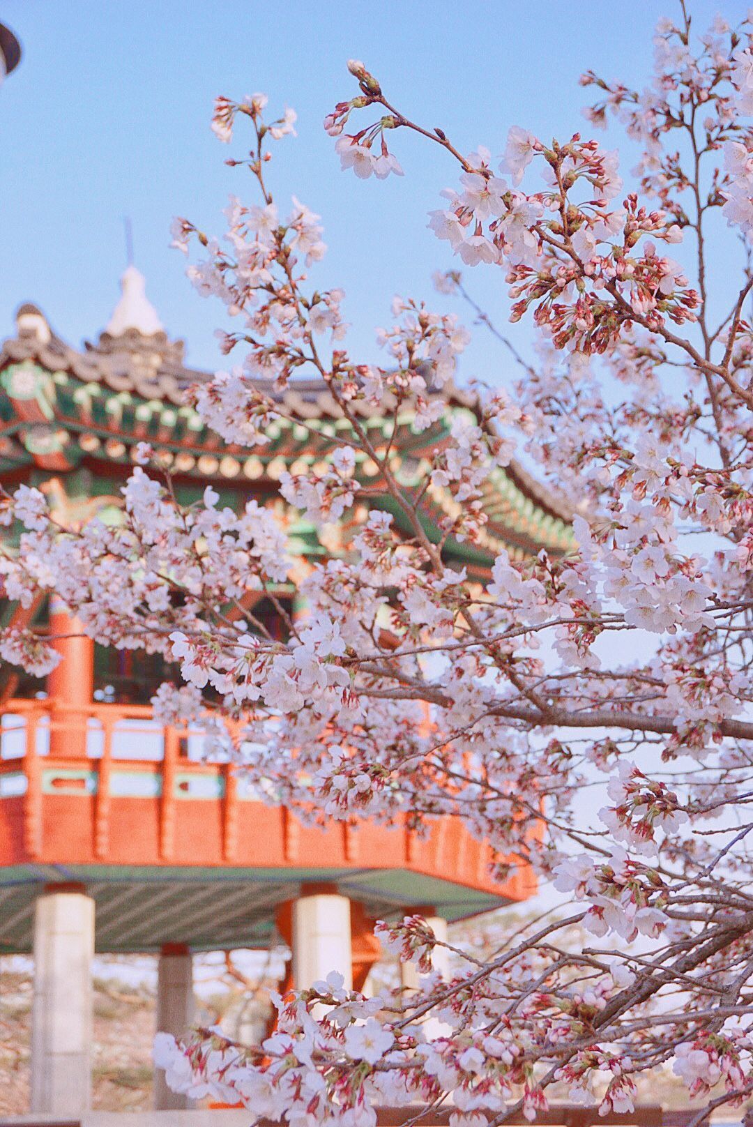 Seoul Spring Wallpapers - Top Free Seoul Spring Backgrounds ...