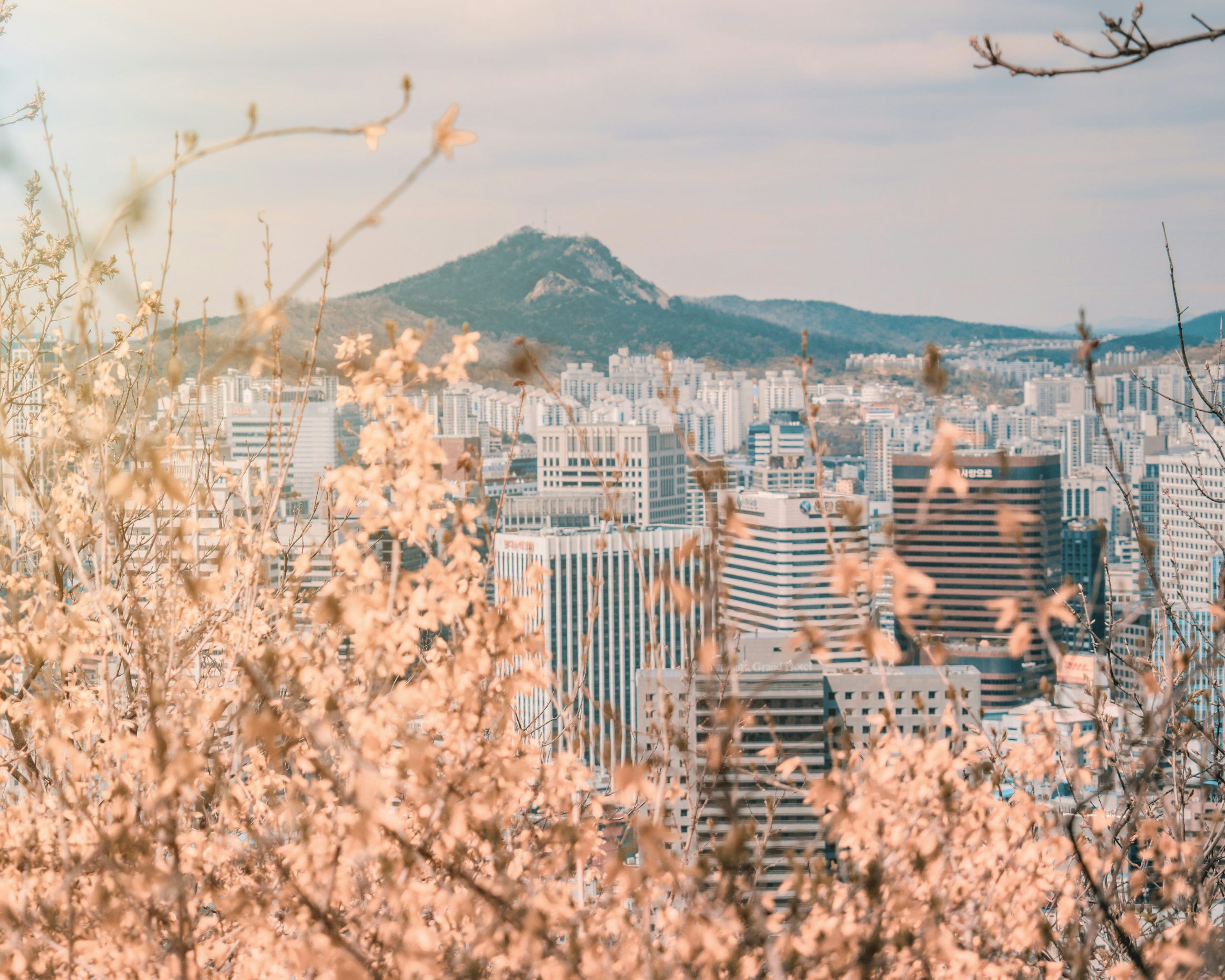 Seoul Spring Wallpapers - Top Free Seoul Spring Backgrounds ...