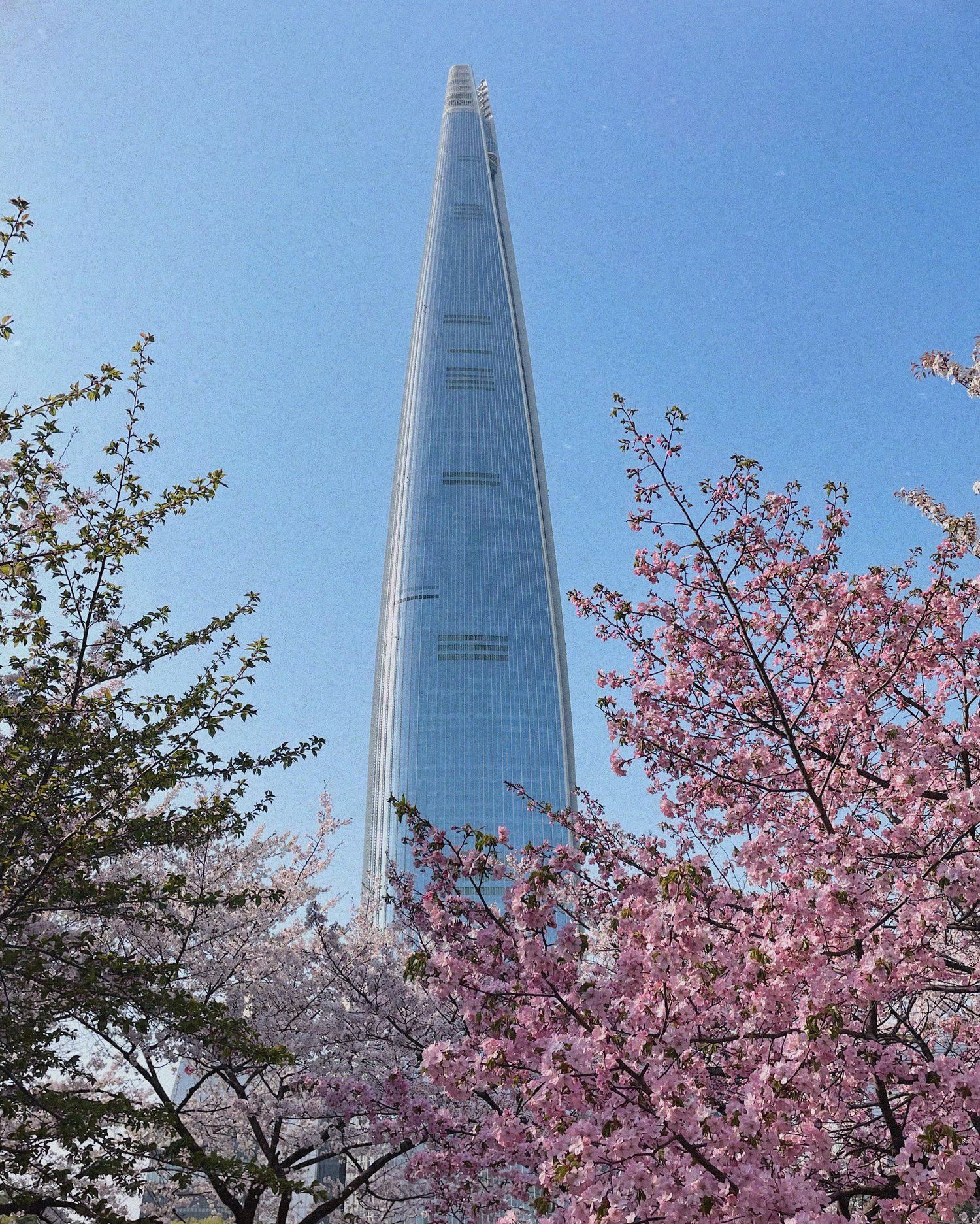 Seoul Spring Wallpapers - Top Free Seoul Spring Backgrounds ...