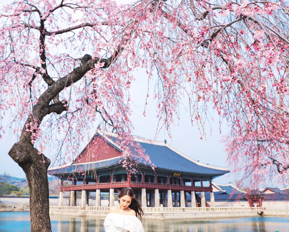 Seoul Spring Wallpapers - Top Free Seoul Spring Backgrounds ...