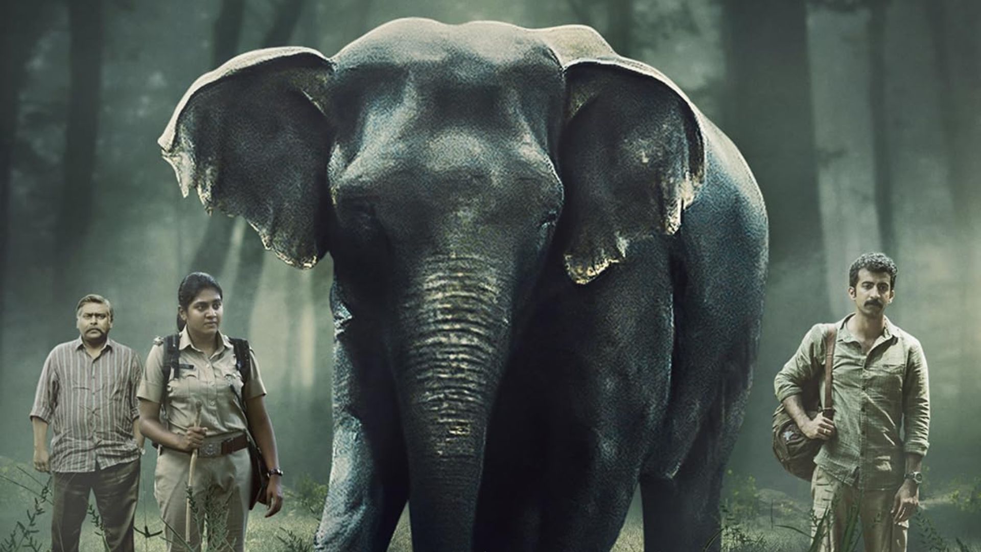 Poacher Wallpapers - Top Free Poacher Backgrounds - WallpaperAccess