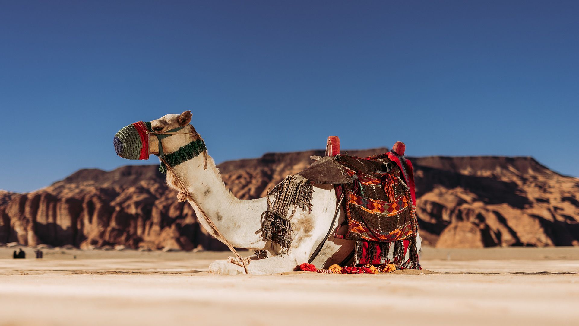 AlUla Wallpapers - Top Free AlUla Backgrounds - WallpaperAccess