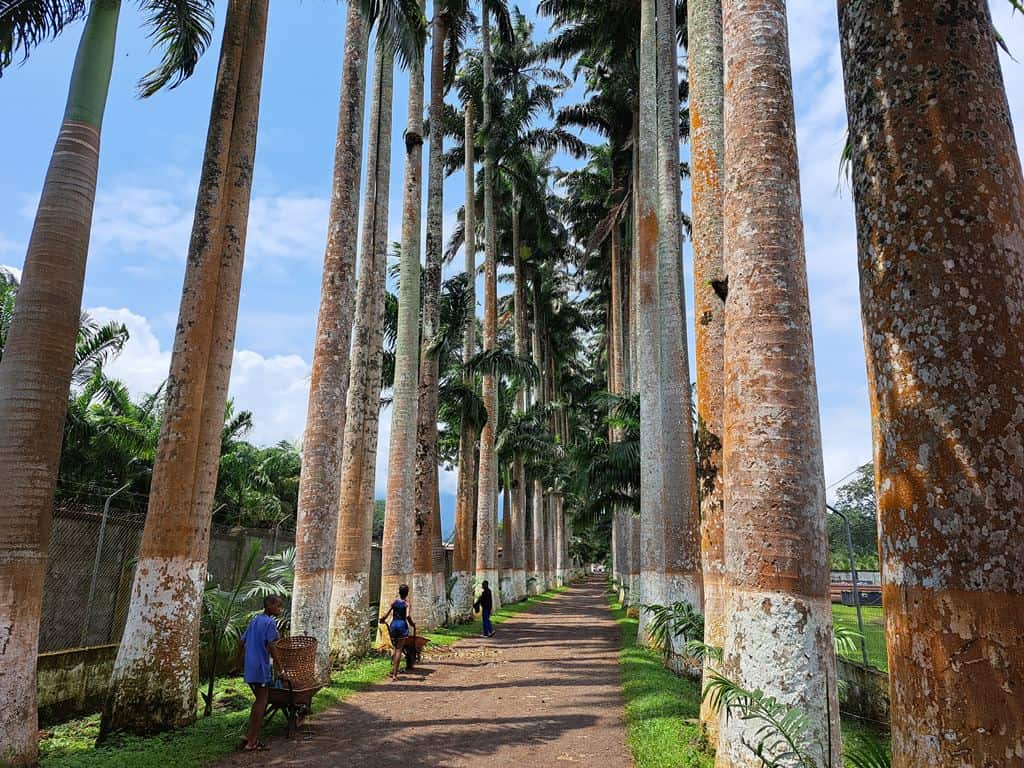 Equatorial Guinea Wallpapers - Top Free Equatorial Guinea Backgrounds ...