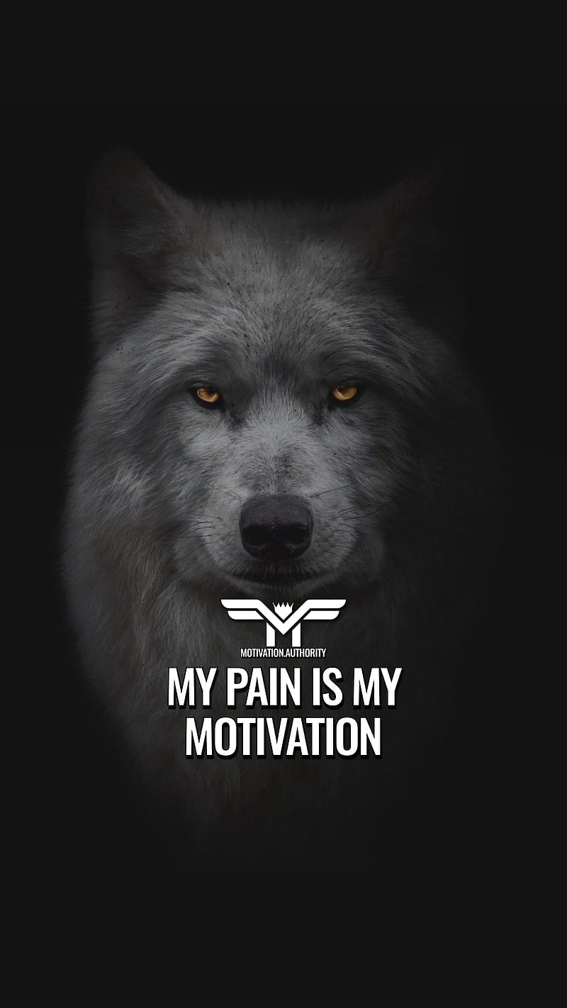 Wolf Motivation Wallpapers - Top Free Wolf Motivation Backgrounds ...