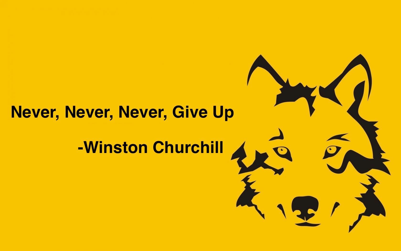 Wolf Motivation Wallpapers - Top Free Wolf Motivation Backgrounds ...