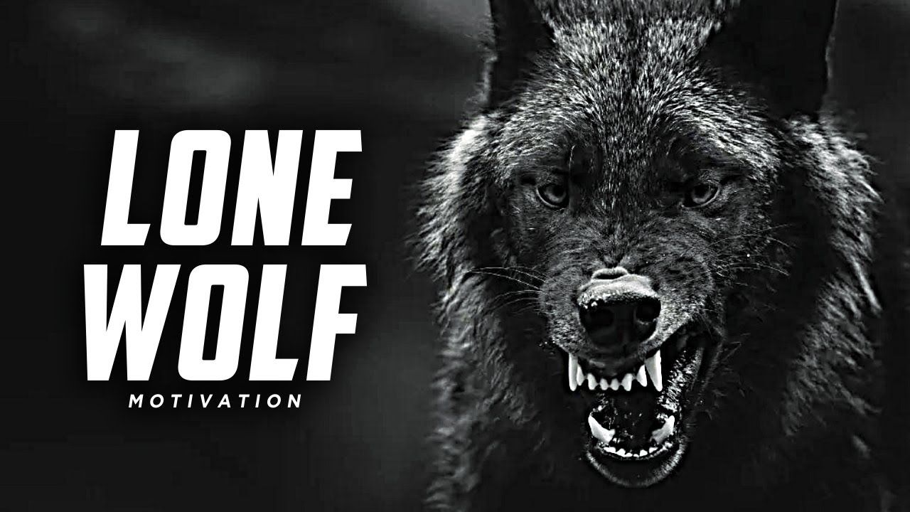 Wolf Motivation Wallpapers - Top Free Wolf Motivation Backgrounds ...