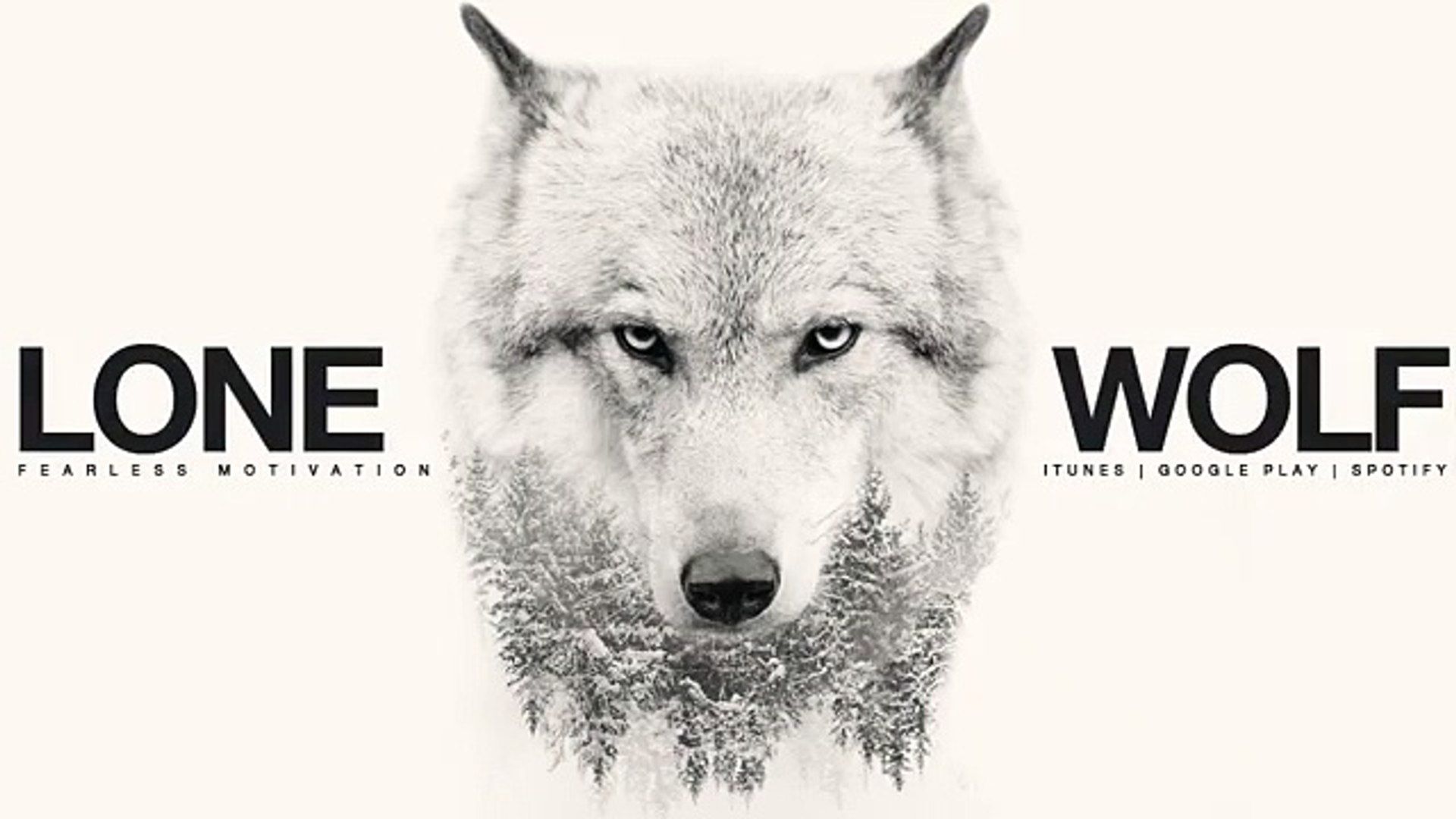 Wolf Motivation Wallpapers - Top Free Wolf Motivation Backgrounds ...