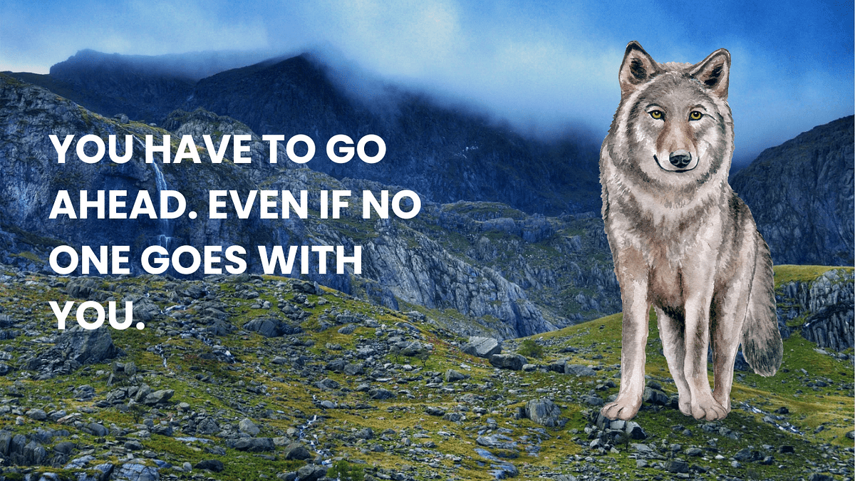 Wolf Motivation Wallpapers - Top Free Wolf Motivation Backgrounds ...