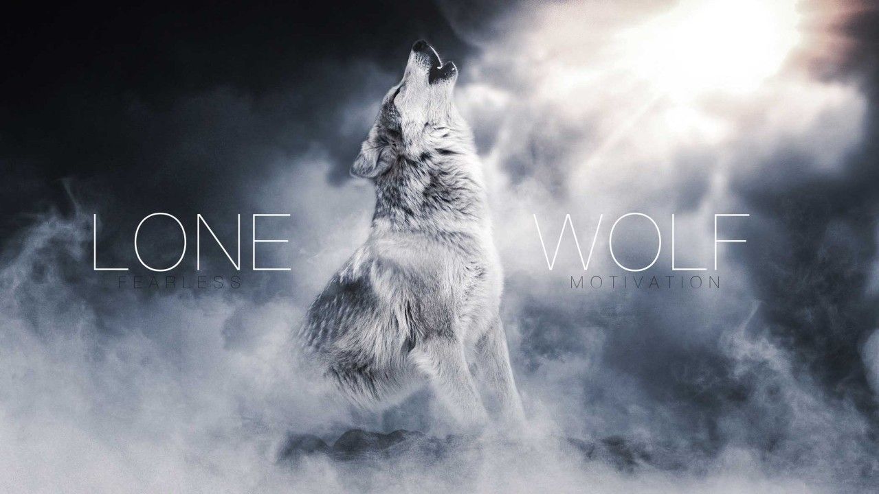 Wolf Motivation Wallpapers - Top Free Wolf Motivation Backgrounds ...