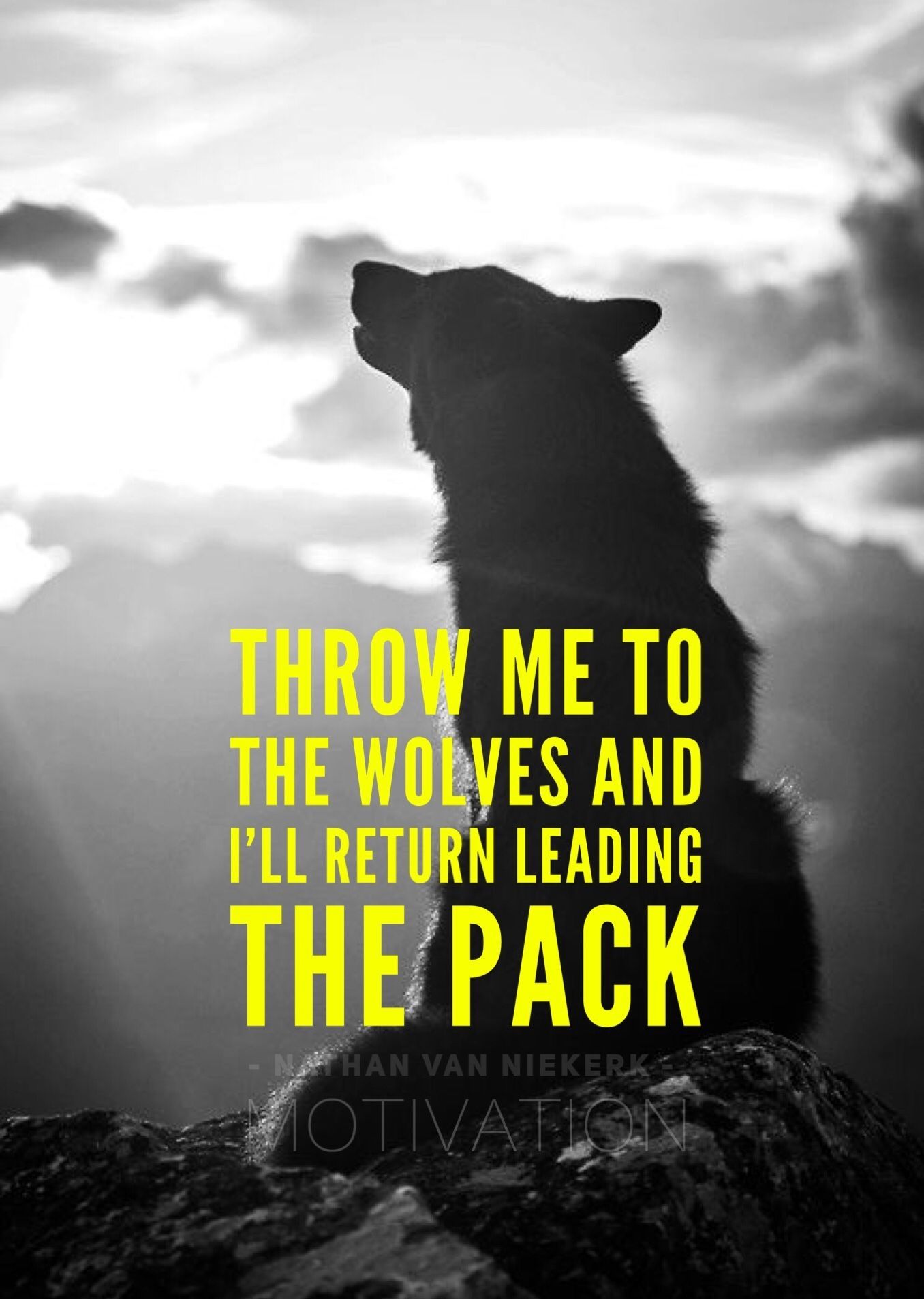 Wolf Motivation Wallpapers - Top Free Wolf Motivation Backgrounds ...