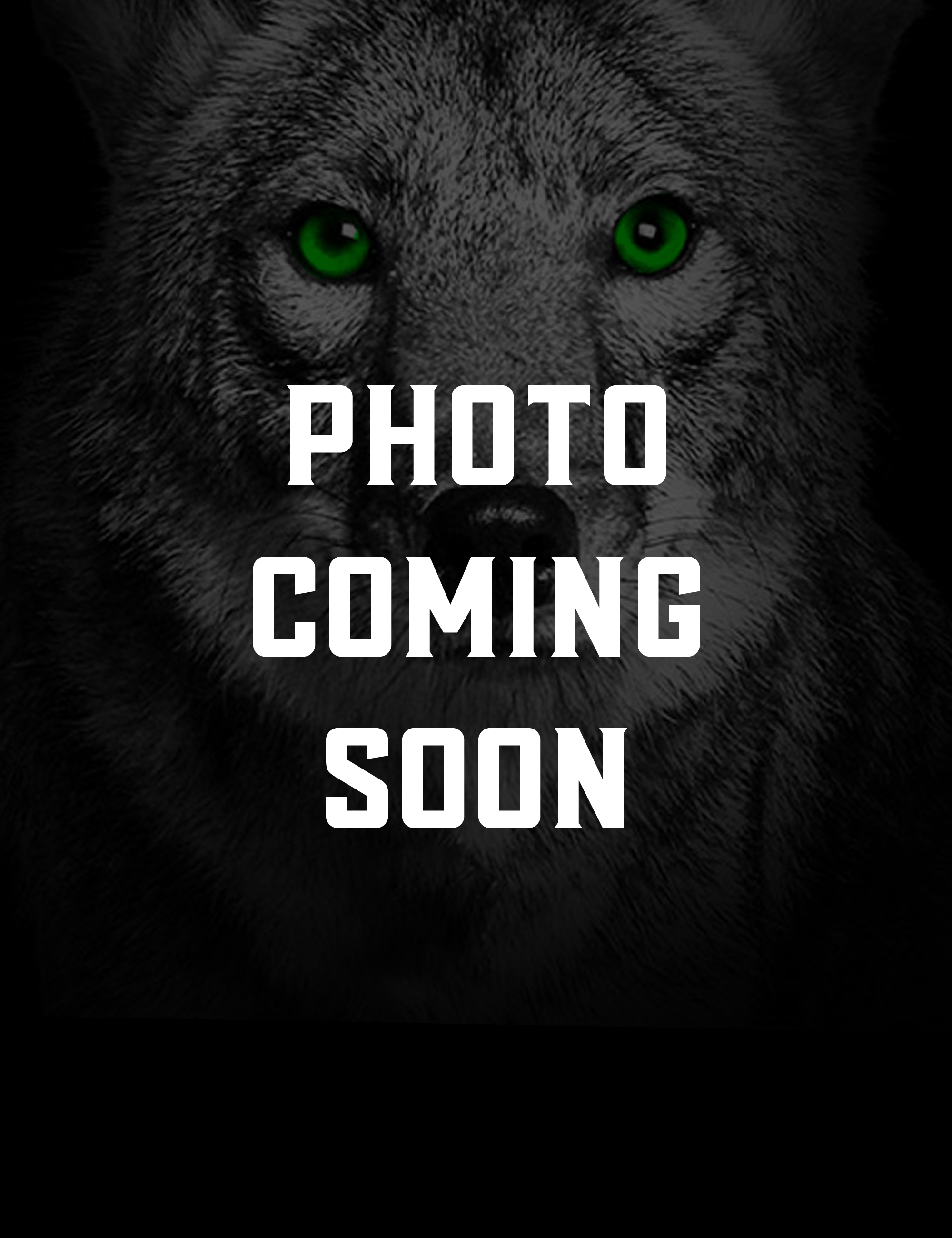 Wolf Motivation Wallpapers - Top Free Wolf Motivation Backgrounds ...