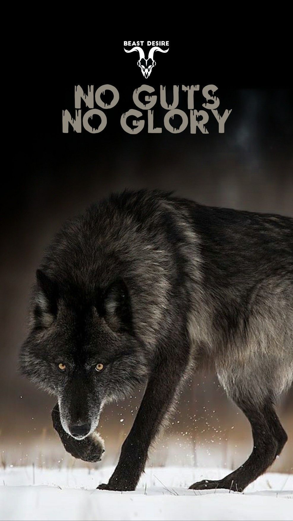 Wolf Motivation Wallpapers - Top Free Wolf Motivation Backgrounds ...