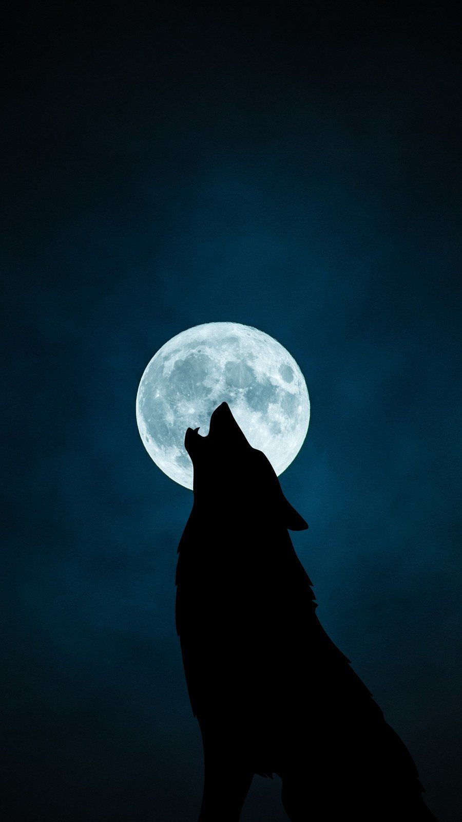 Wolf Motivation Wallpapers - Top Free Wolf Motivation Backgrounds ...