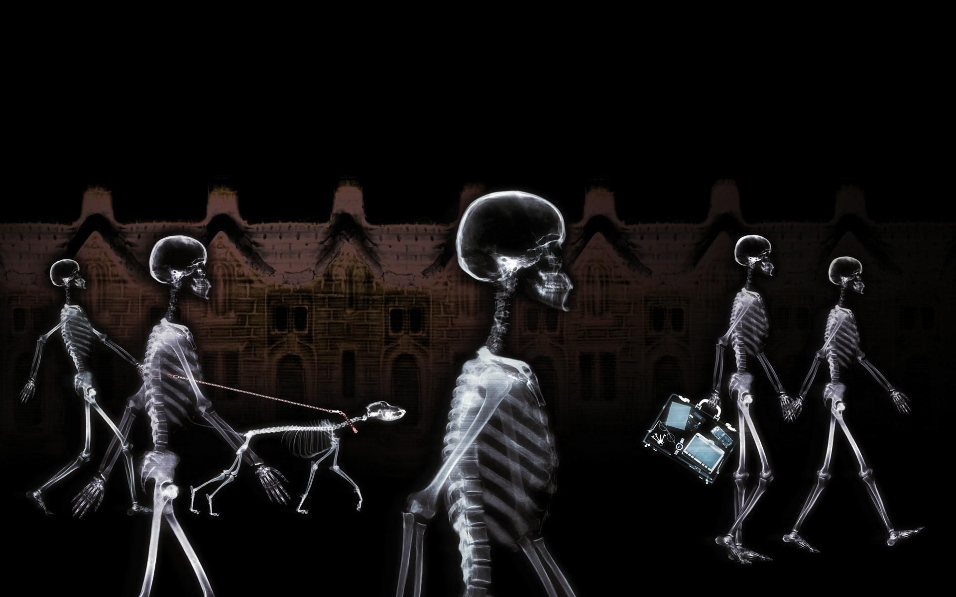 Dancing Skeleton Wallpapers - Top Free Dancing Skeleton Backgrounds ...