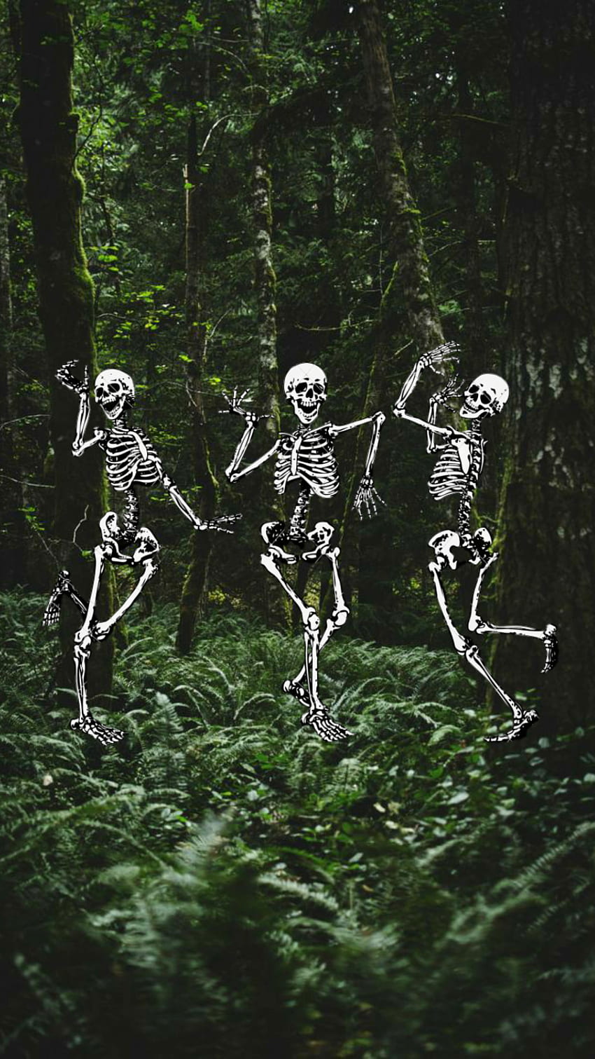 Dancing Skeleton Wallpapers - Top Free Dancing Skeleton Backgrounds ...