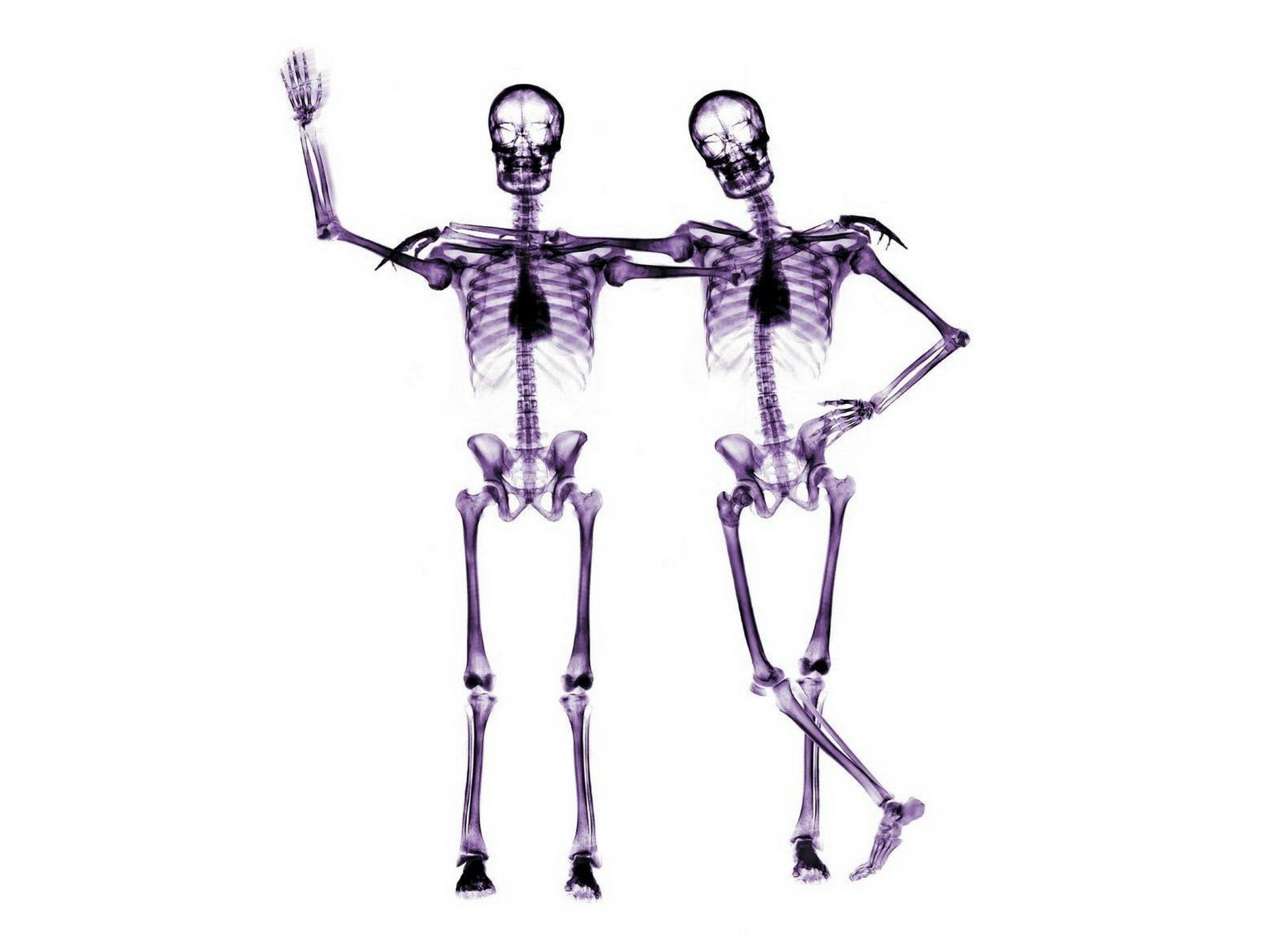 Dancing Skeleton Wallpapers - Top Free Dancing Skeleton Backgrounds ...