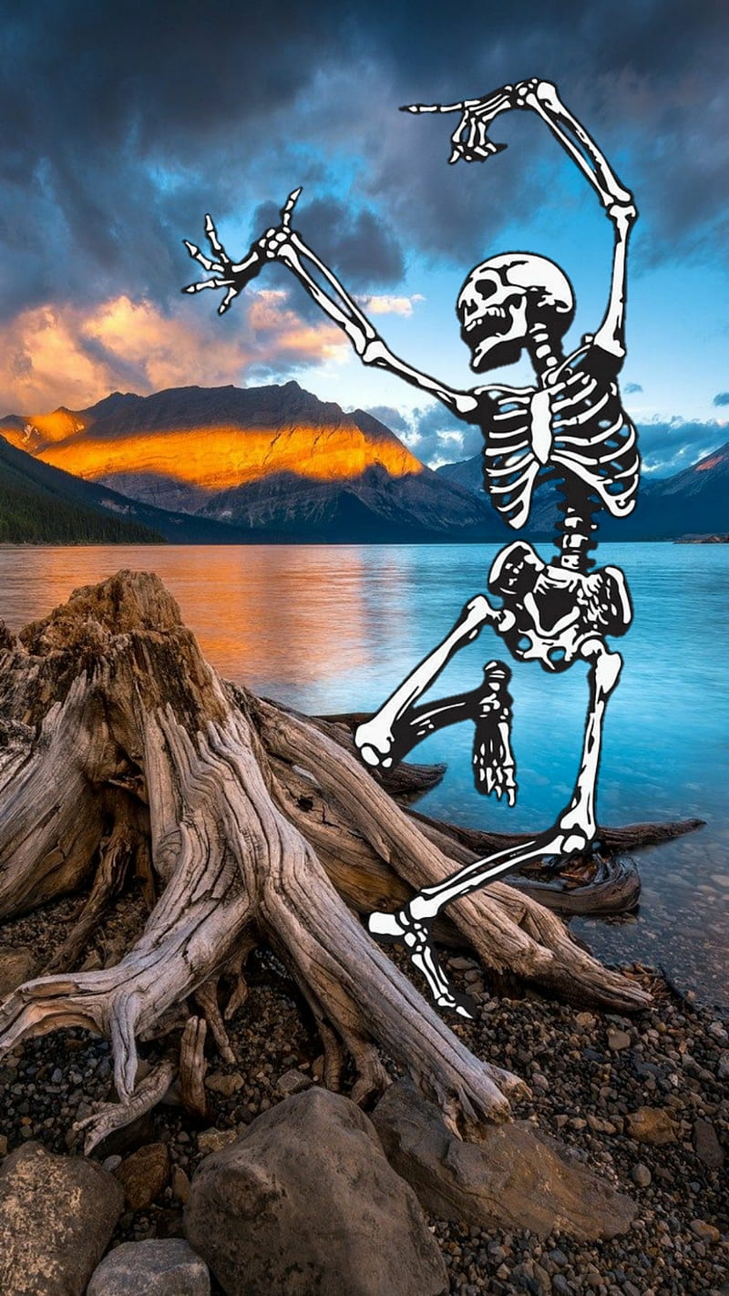 Dancing Skeleton Wallpapers - Top Free Dancing Skeleton Backgrounds ...