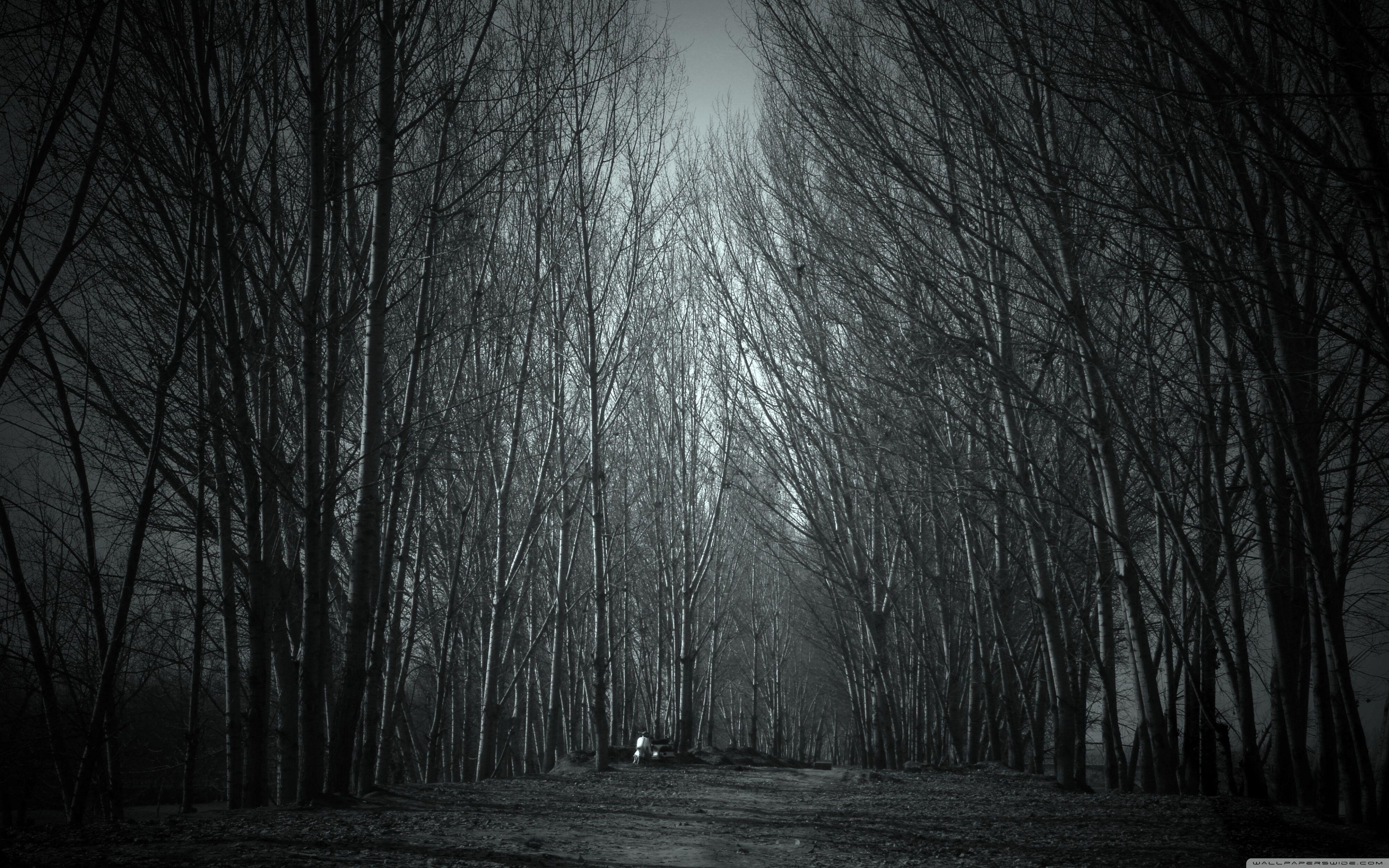 Haunted Wallpapers - Top Free Haunted Backgrounds - WallpaperAccess