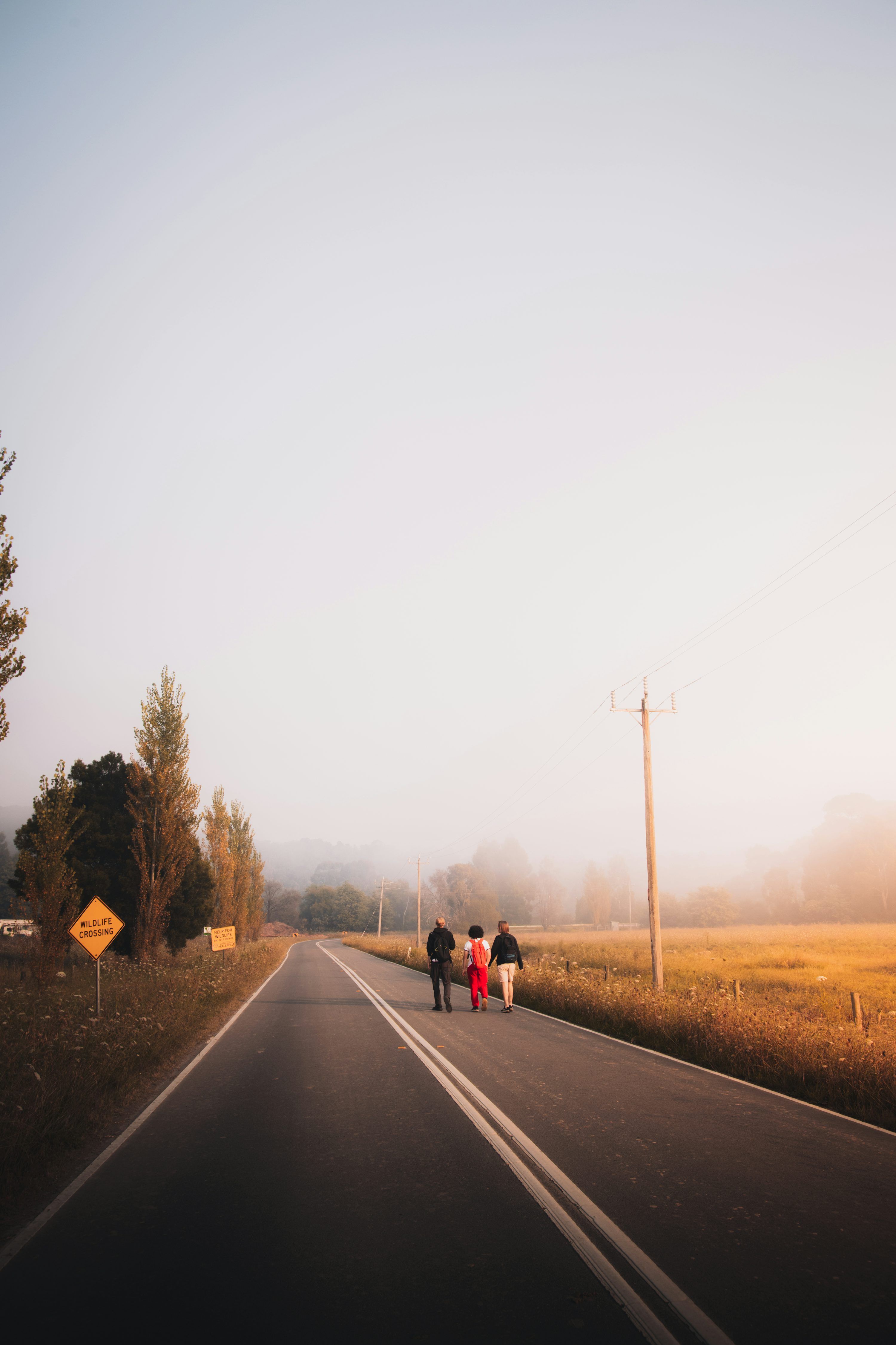 Walking On Road Wallpapers - Top Free Walking On Road Backgrounds ...