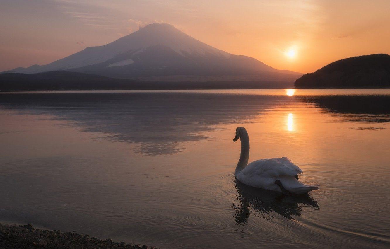 Mount Fuji Sunset Wallpapers - Top Free Mount Fuji Sunset Backgrounds ...