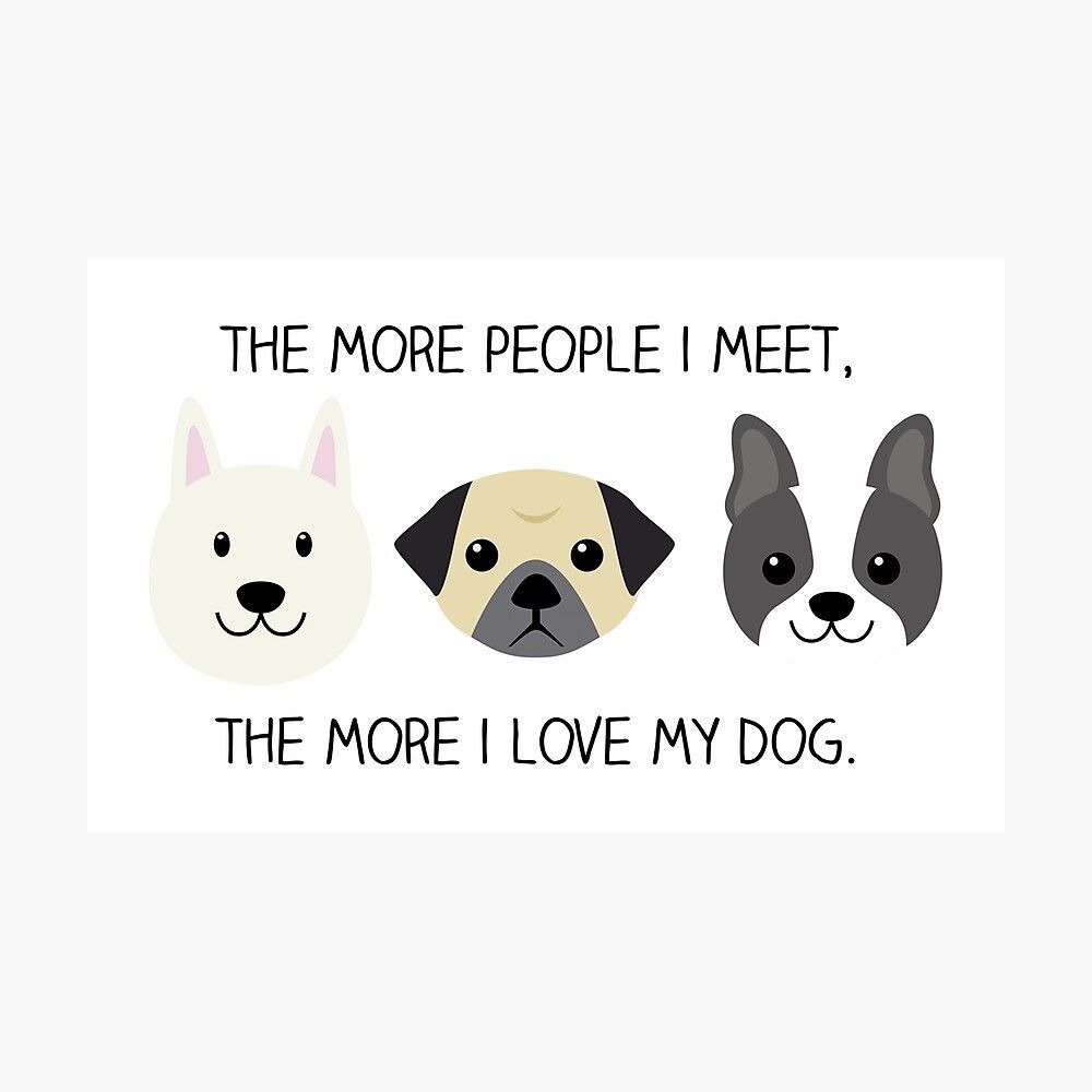 I Love My Dog Wallpapers - Top Free I Love My Dog Backgrounds ...