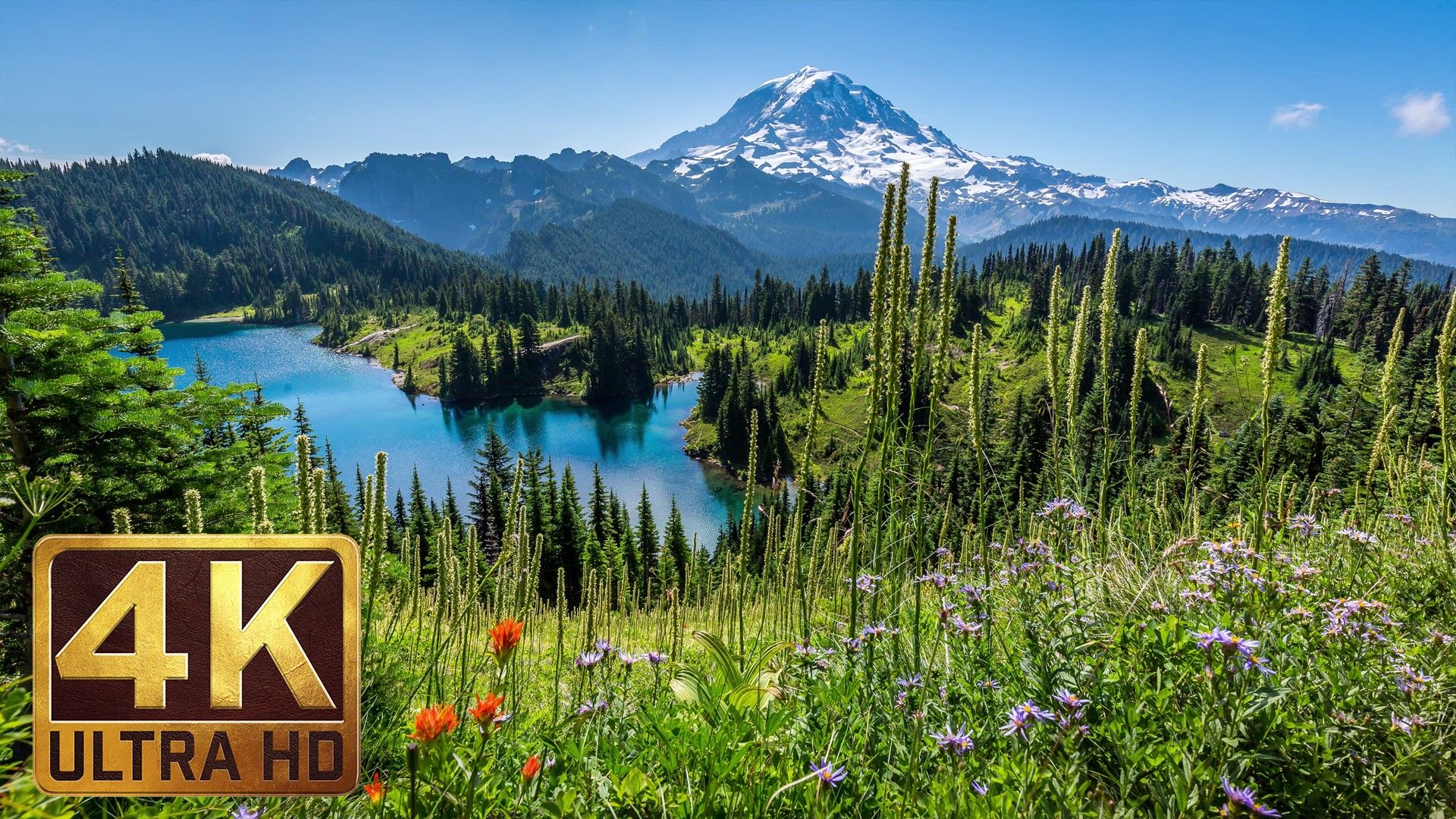 Washington State 4k Wallpapers - Top Free Washington State 4k ...