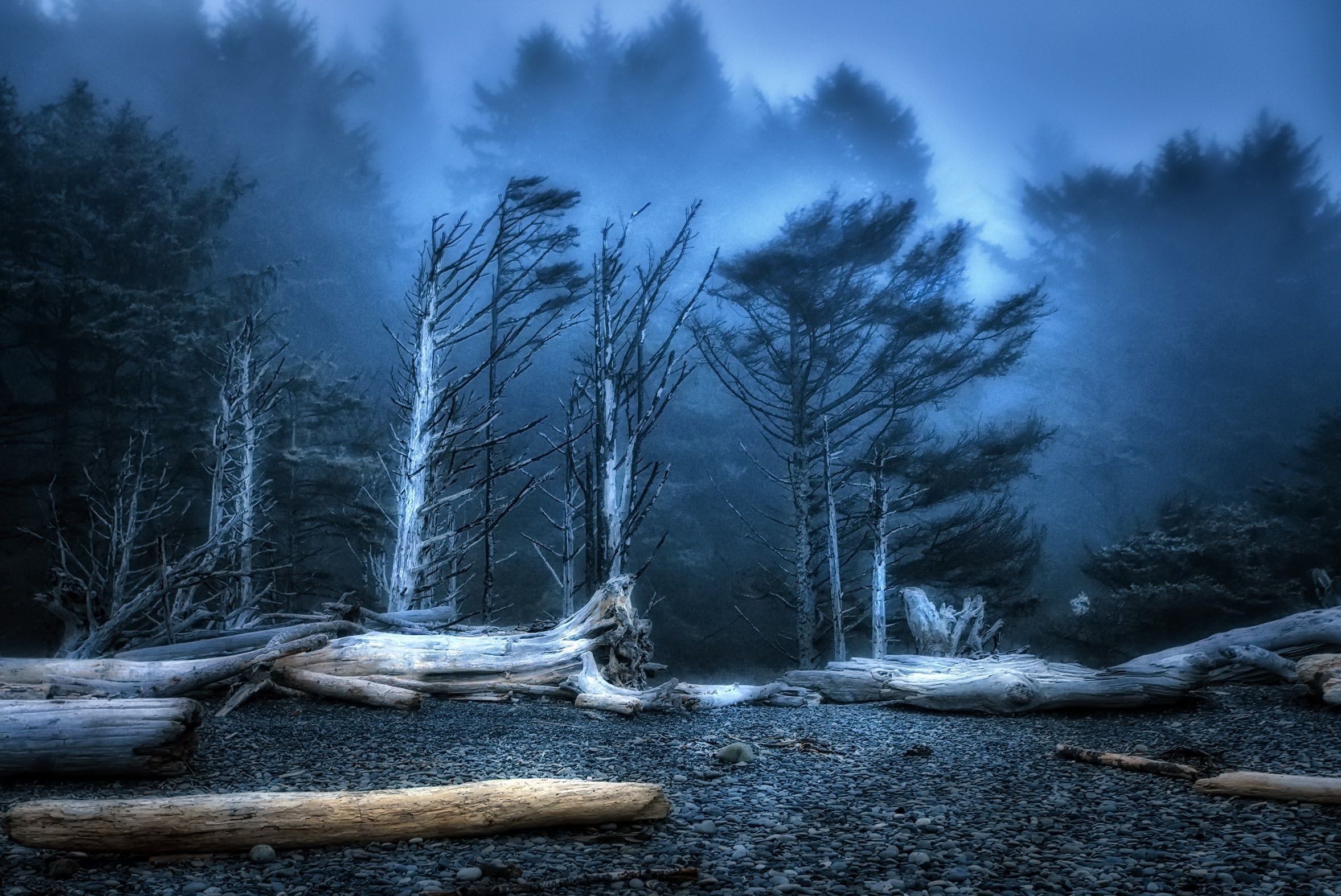 Washington State 4k Wallpapers - Top Free Washington State 4k ...