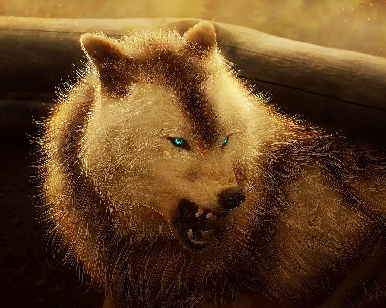 Angry Wolf Wallpapers - Top Free Angry Wolf Backgrounds - WallpaperAccess