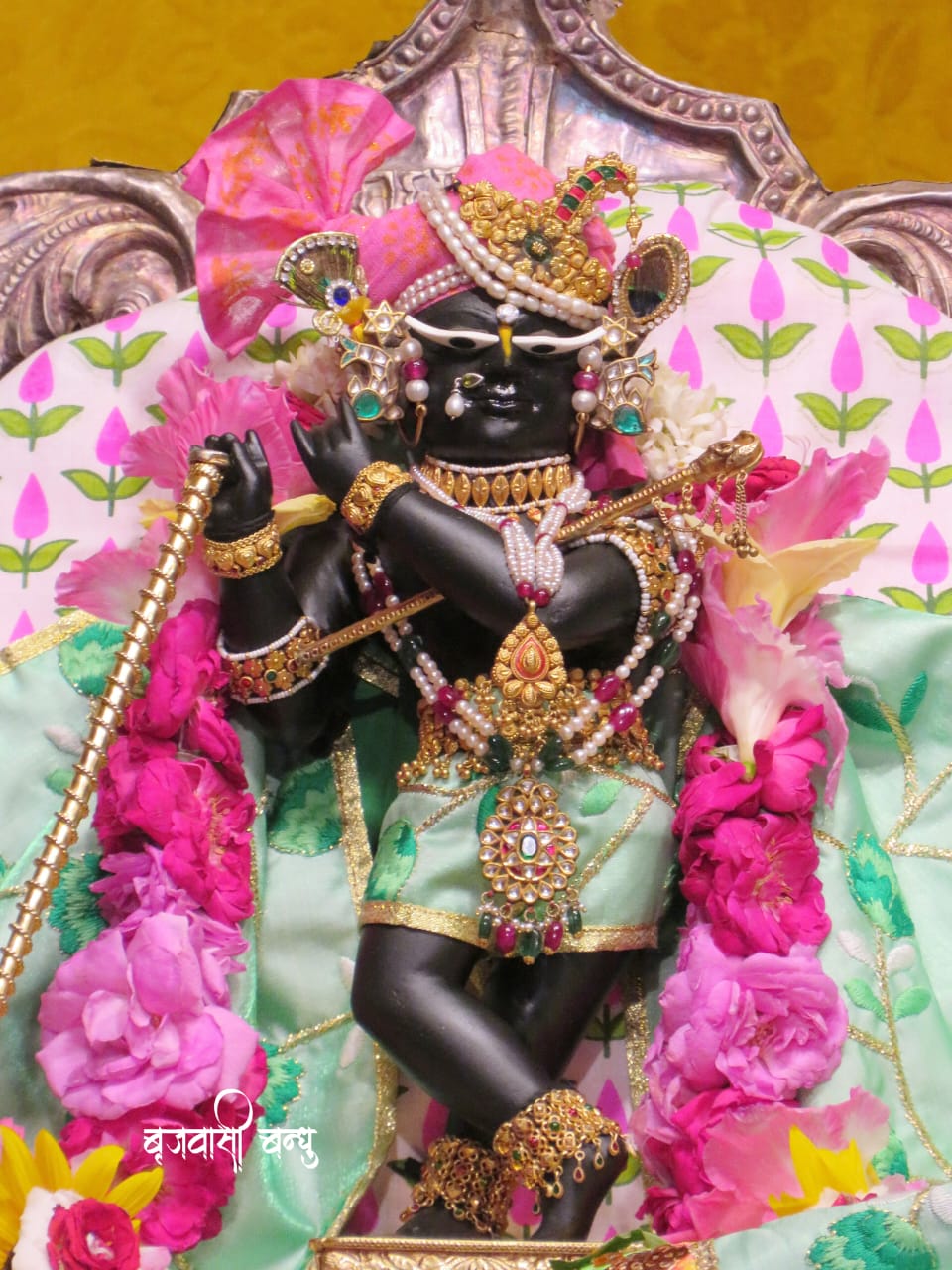 Radha Ramana Wallpapers - Top Free Radha Ramana Backgrounds - WallpaperAccess